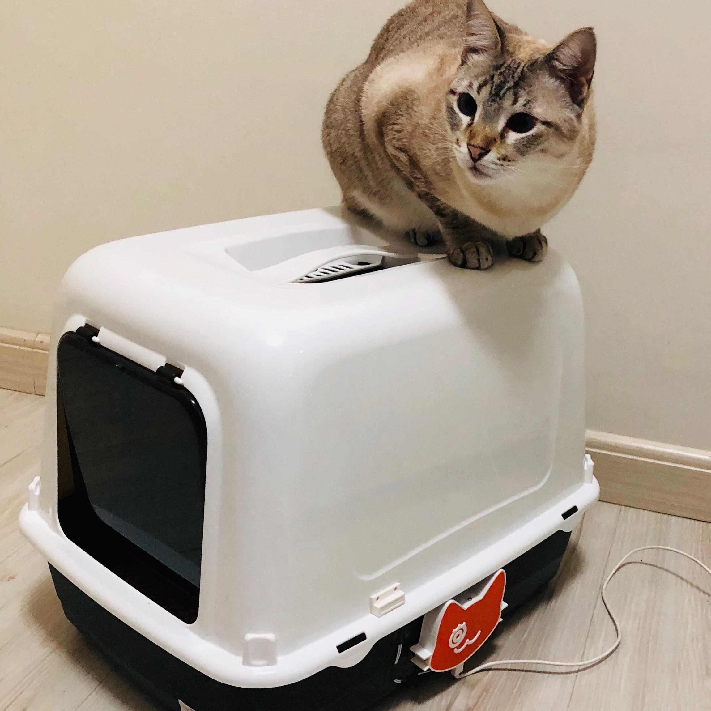 IoT Cat Litter Box (with ESP32, Arduino IDE, Thingspeak and 3D Printing ...