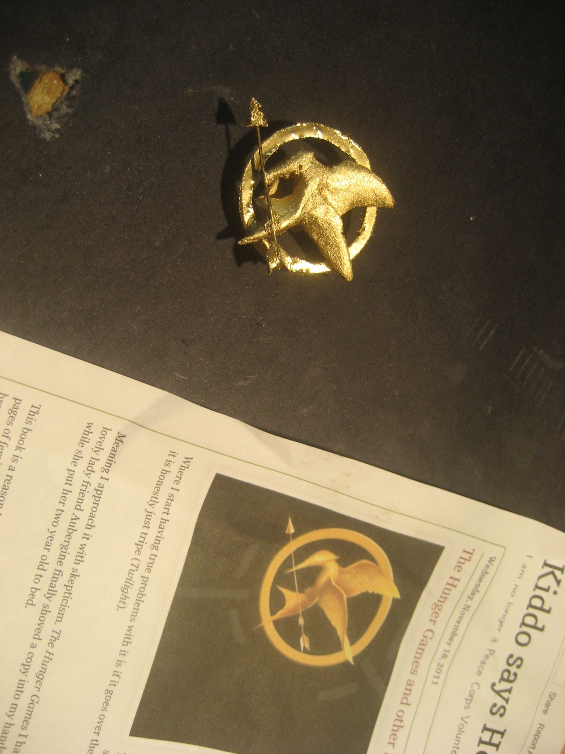 How to Make a Mockingjay Pin From the Hunger Games : 6 Steps ...