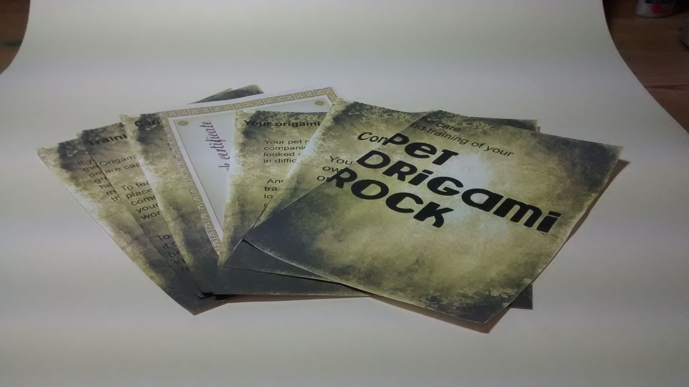 Pet Origami Rock and Manual : 4 Steps - Instructables