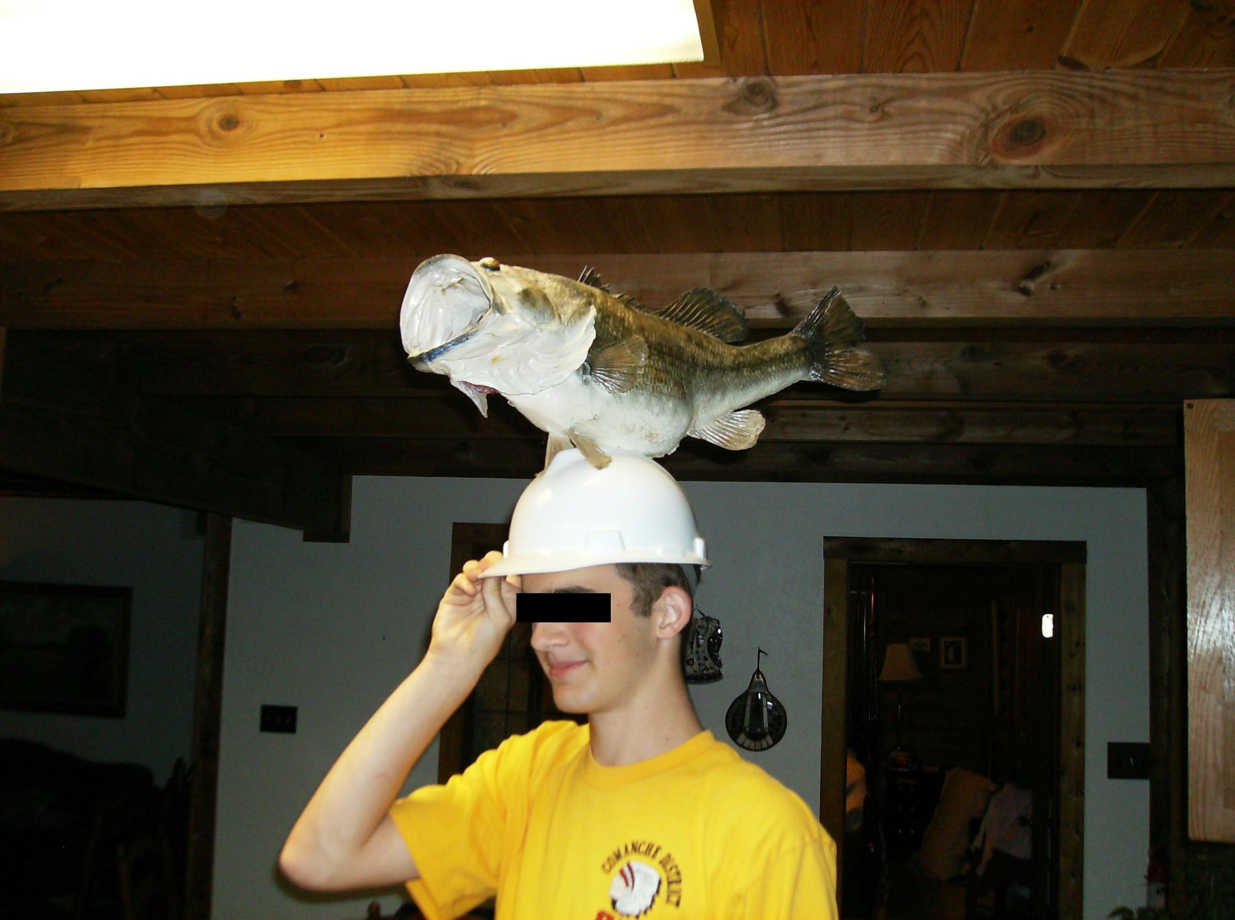 The Taxidermied Fish Helmet! : 5 Steps (with Pictures) - Instructables