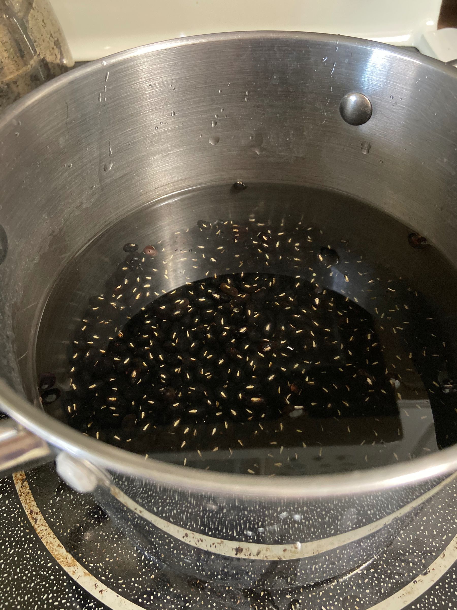 Make Red Stain From Black Beans : 5 Steps (with Pictures) - Instructables