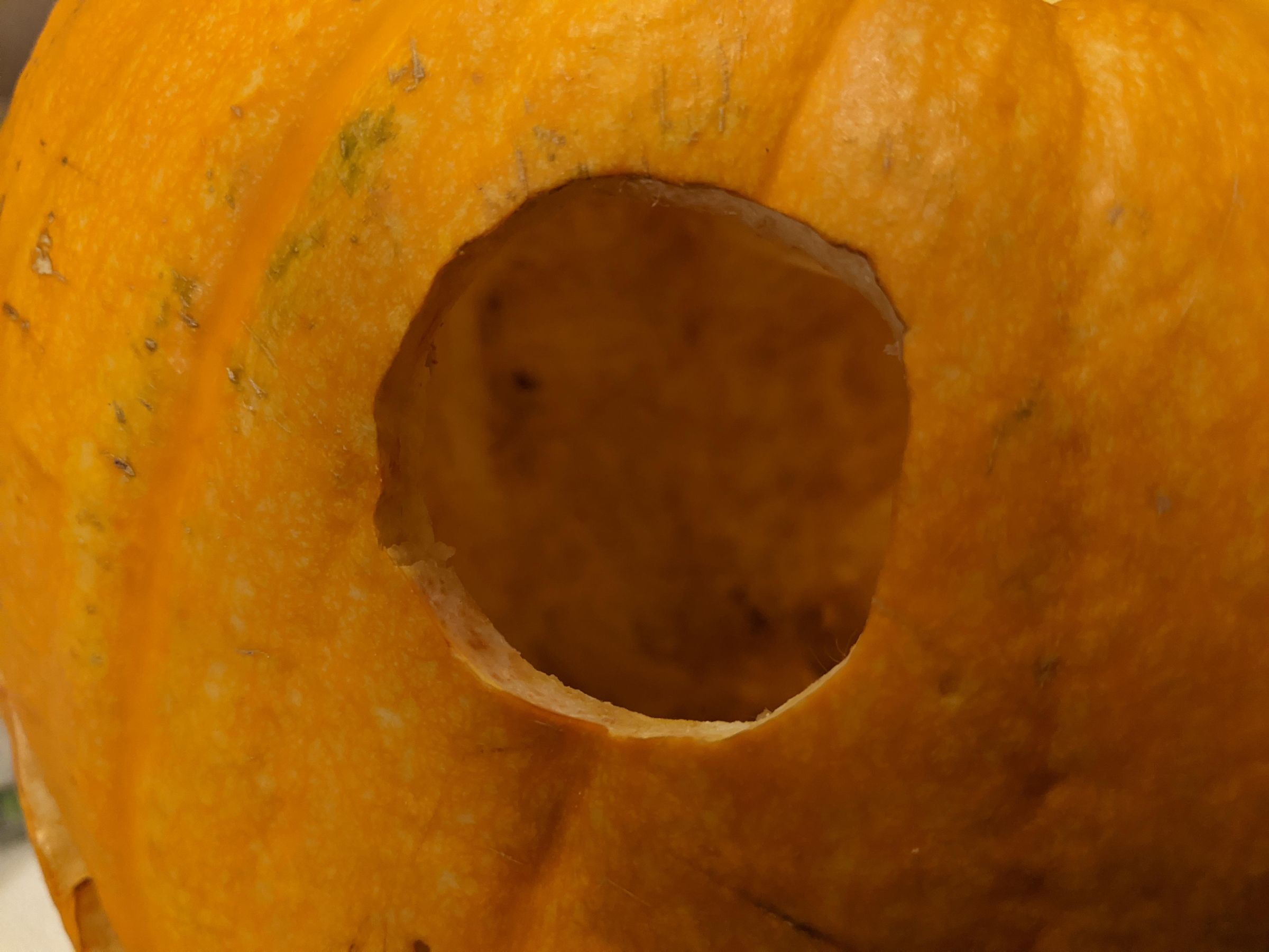 Halloween Pumpkin With a Moving Animatronic Eye | This Pumpkin Can Roll ...