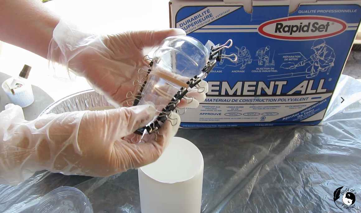 How to Make a Lightbulb Planter From Plastic Packaging! : 9 Steps (with ...