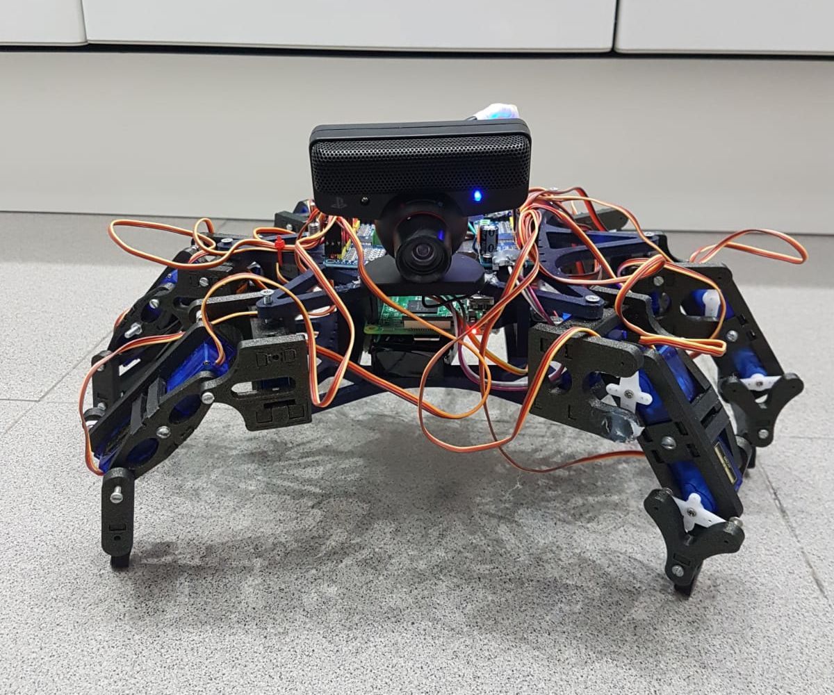 HexaWalker : 5 Steps - Instructables
