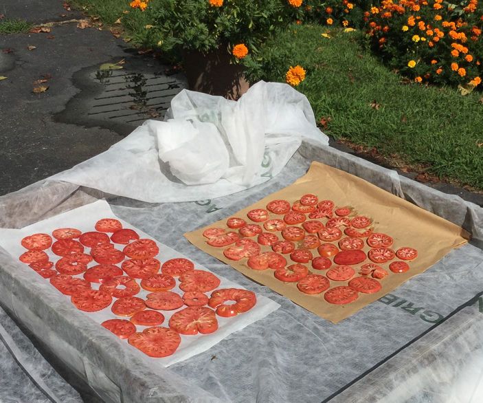 Repurposed Cold Frame Lid / Solar Dehydrator : 5 Steps (with Pictures ...