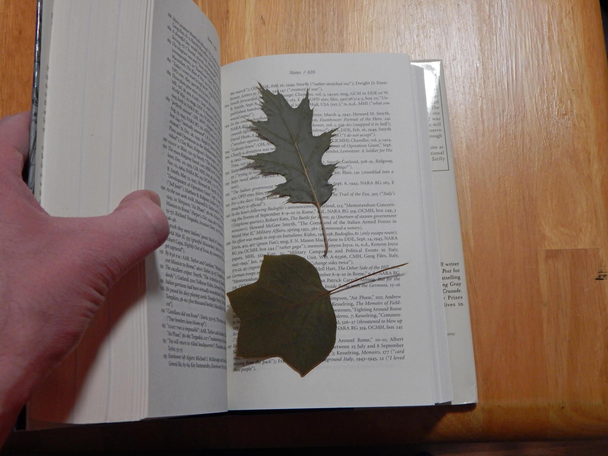 DIY Laminated Leaf Bookmarks : 4 Steps (with Pictures) - Instructables