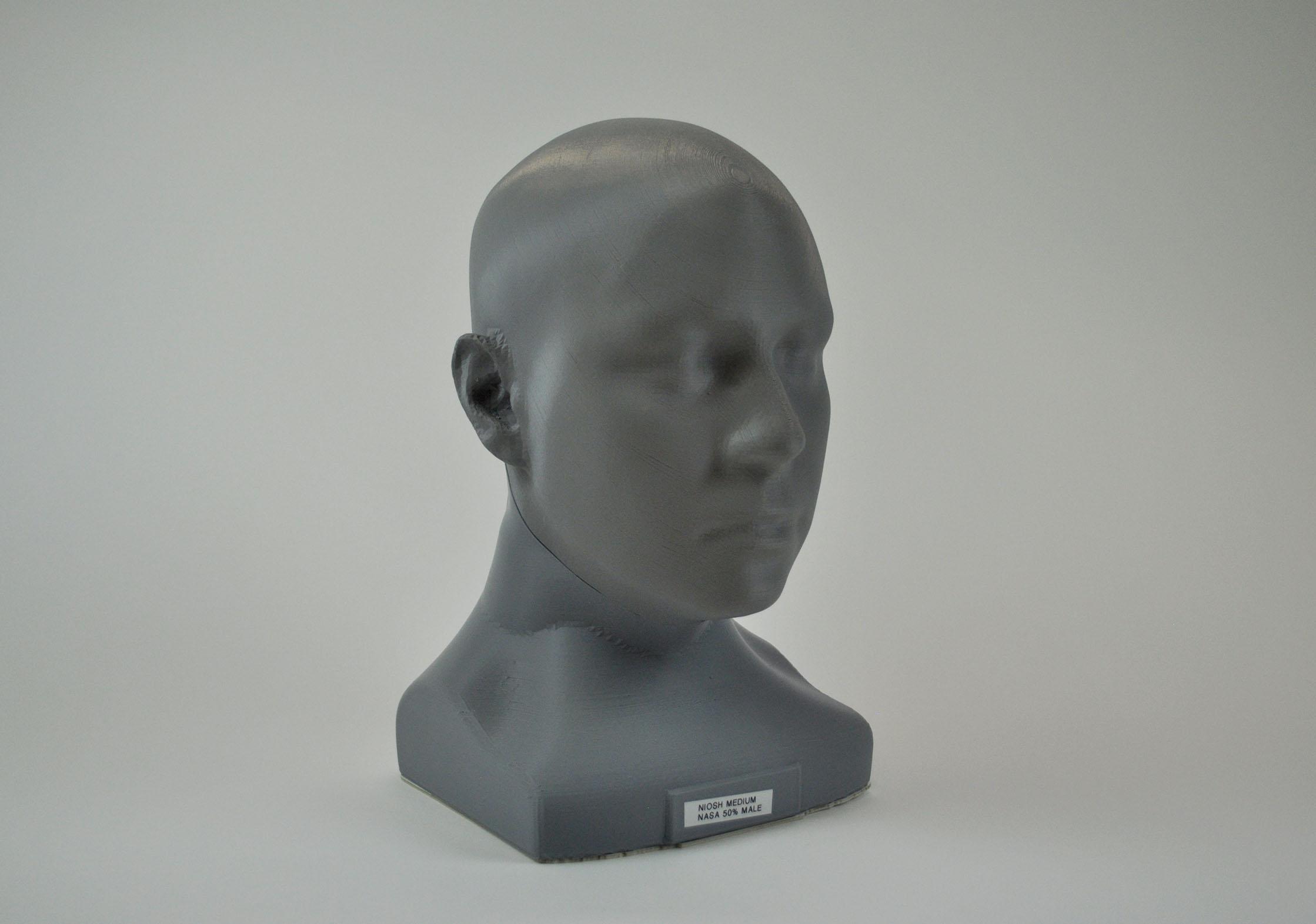 Fabricating Life Sized Heads : 7 Steps (with Pictures) - Instructables