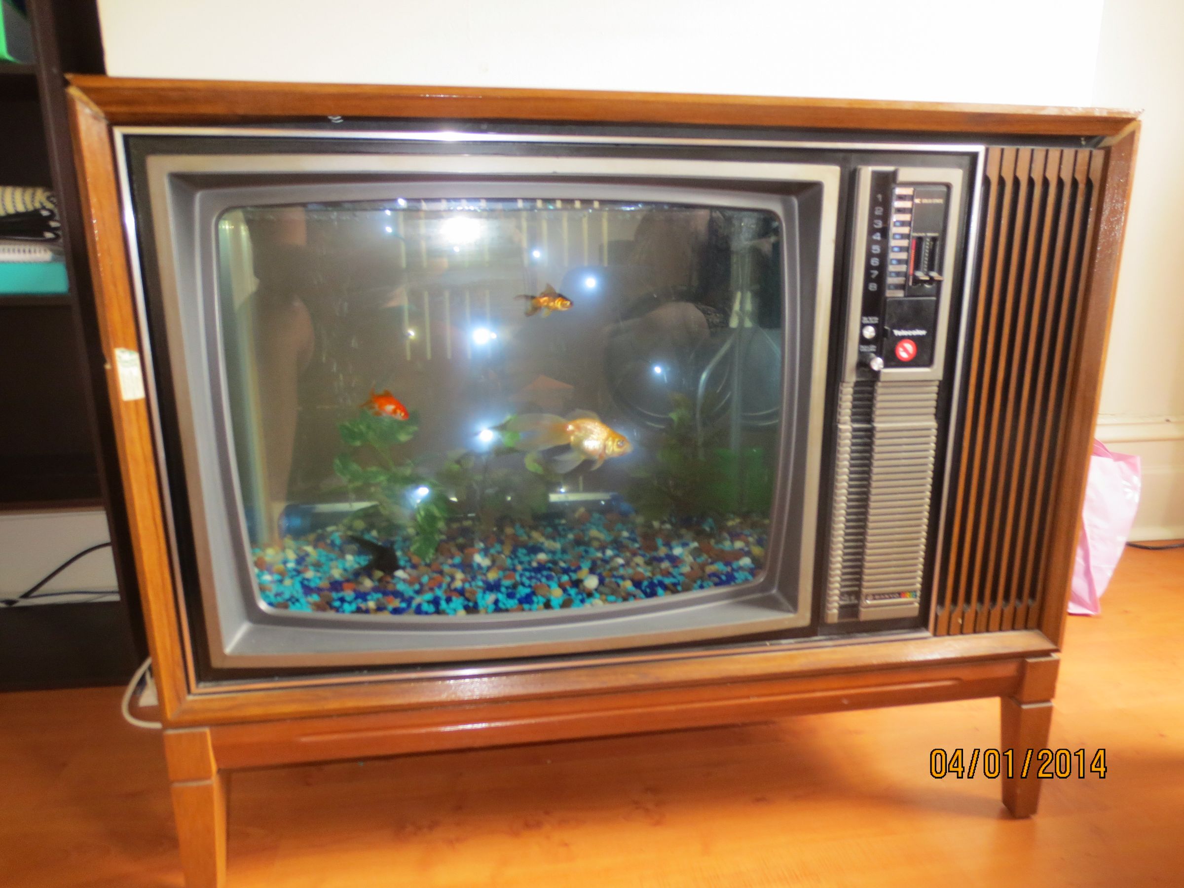 TV Fish Tank \ Aquarium : 5 Steps - Instructables