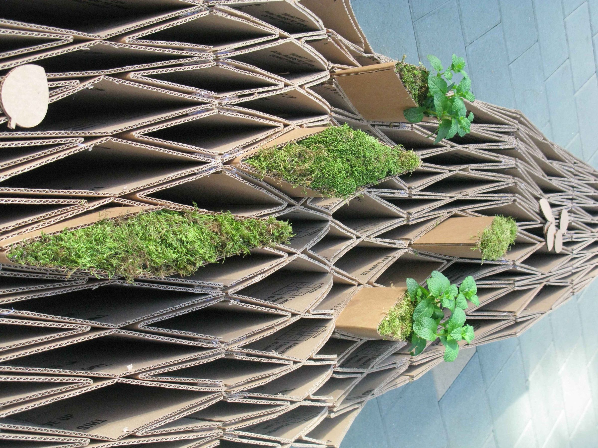 Cardboard Cafe : 7 Steps (with Pictures) - Instructables