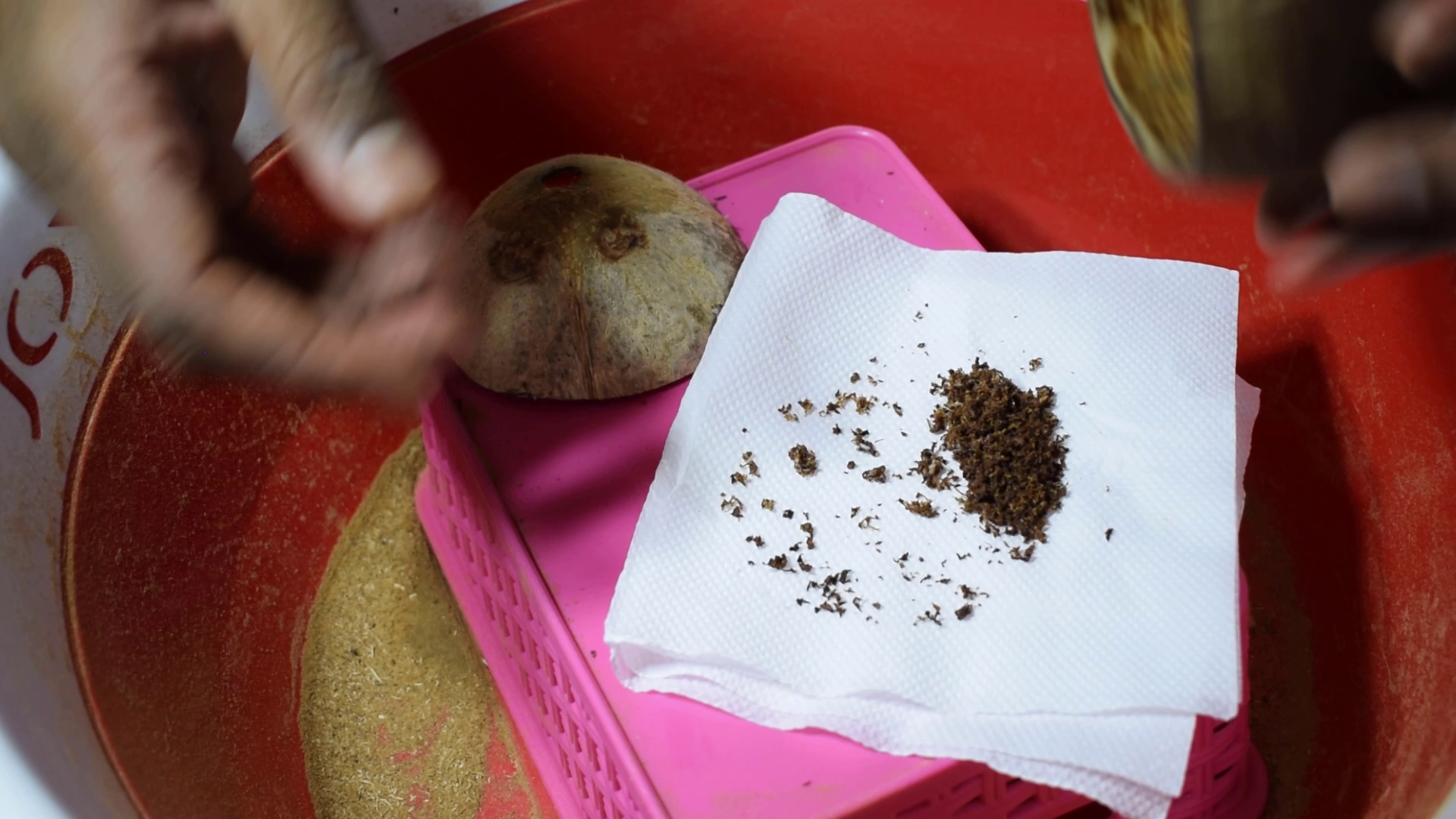How to Make Cup From Coconut - DIY Coconut Cup : 11 Steps - Instructables