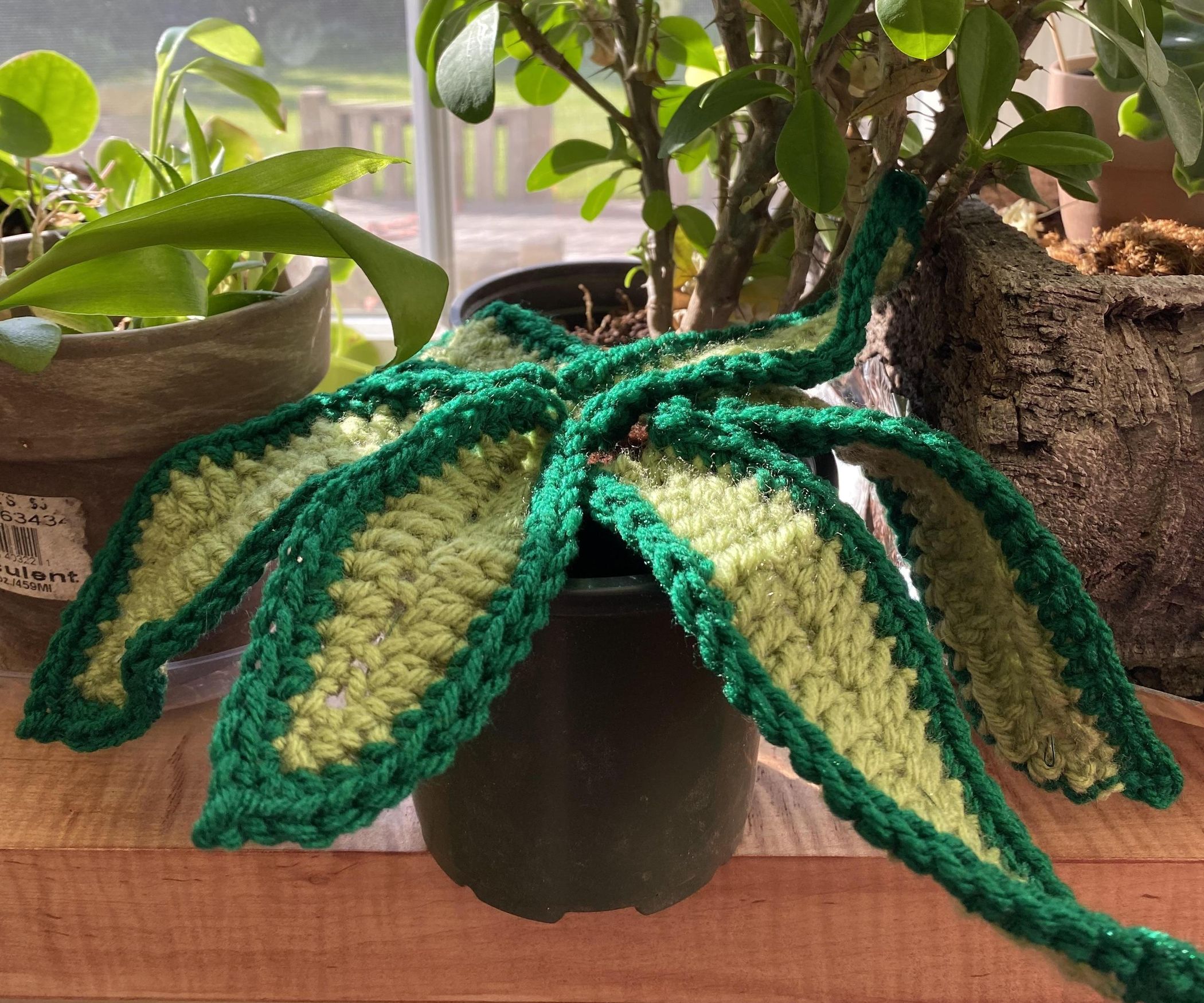 Crocheted House Plant : 3 Steps - Instructables