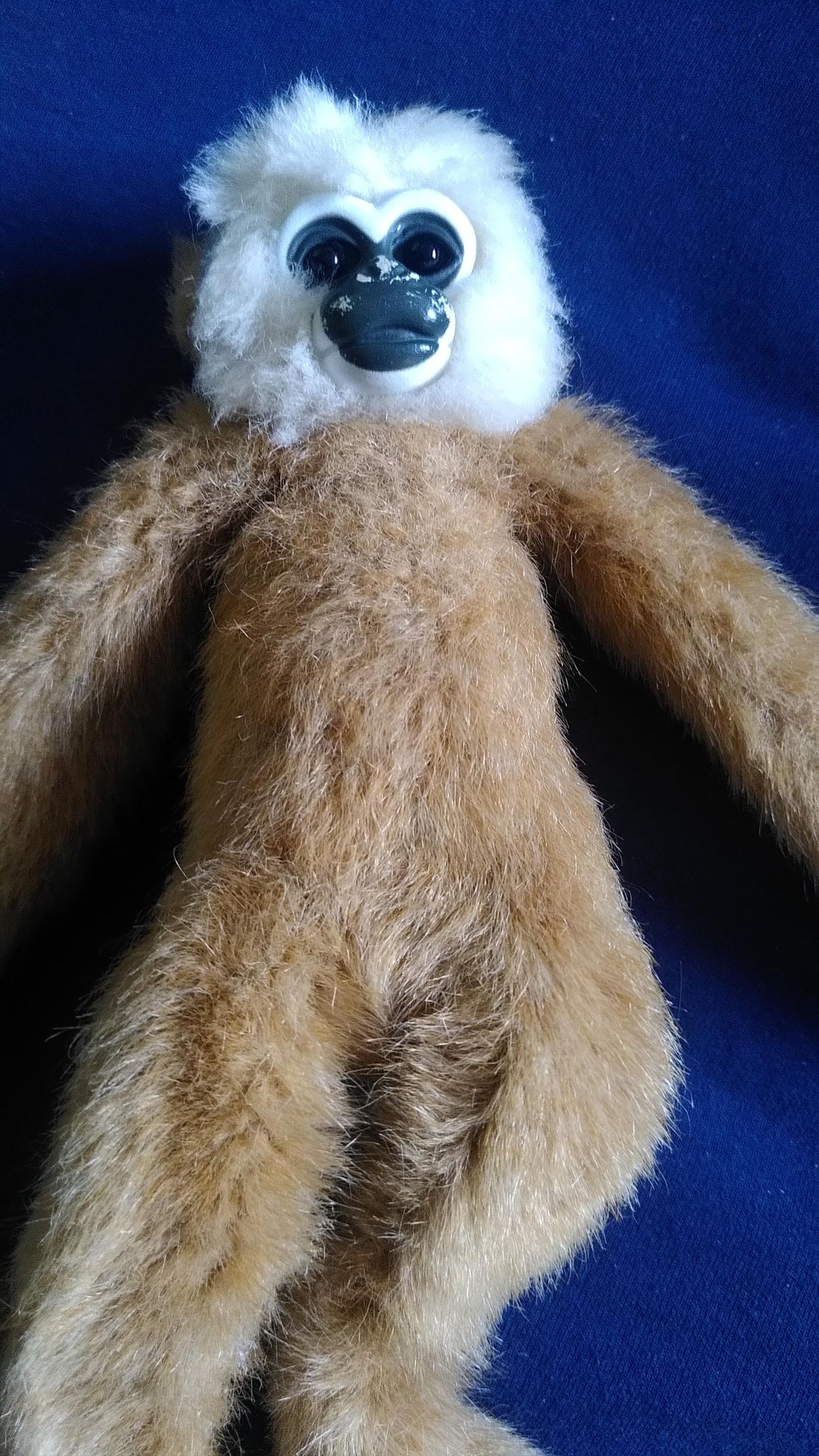 Project ITTT: Cursed Monkey Cyborg : 6 Steps - Instructables