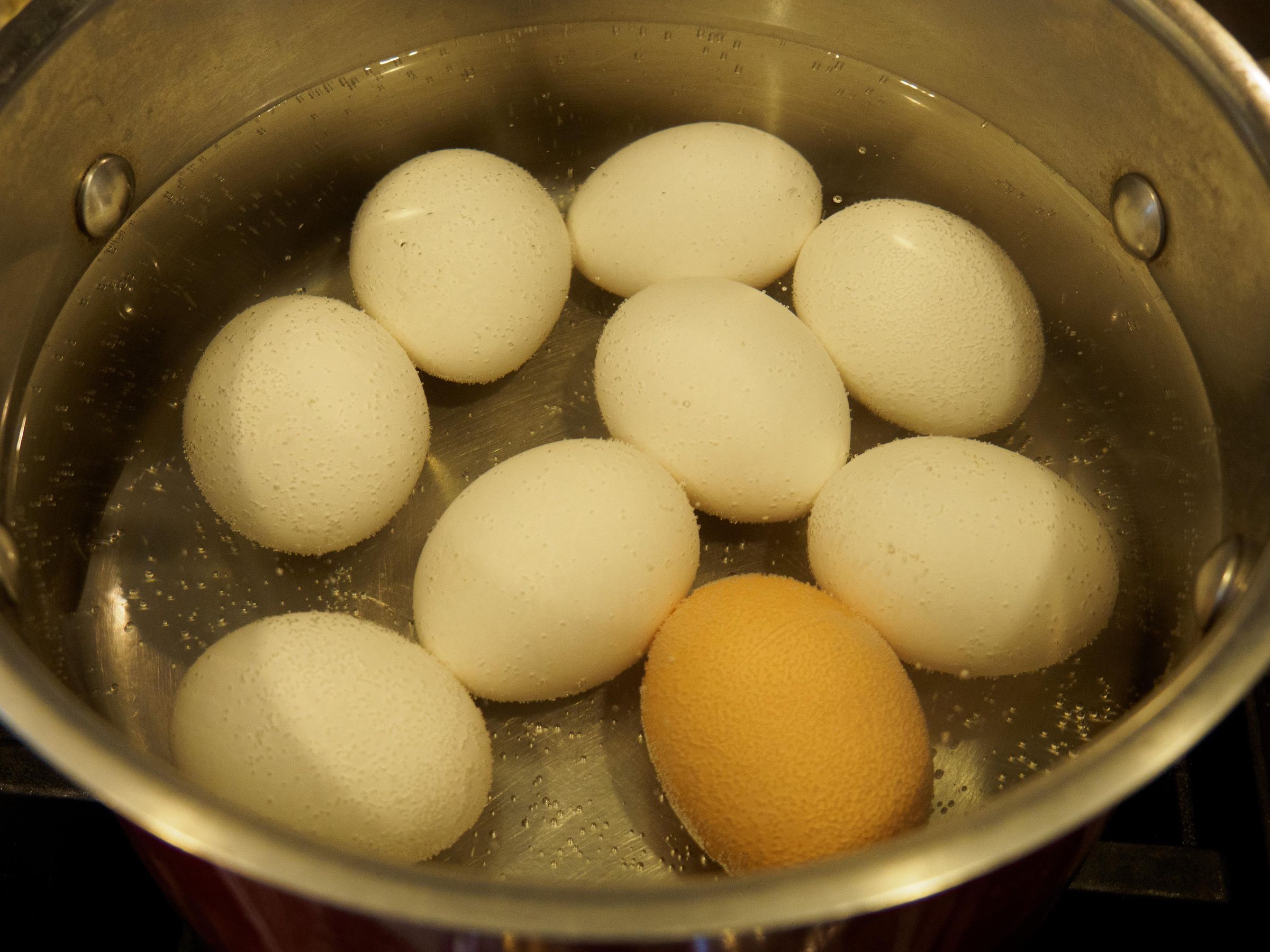 Eggs Up- How to Make and Launch a Rocket Egg : 8 Steps - Instructables