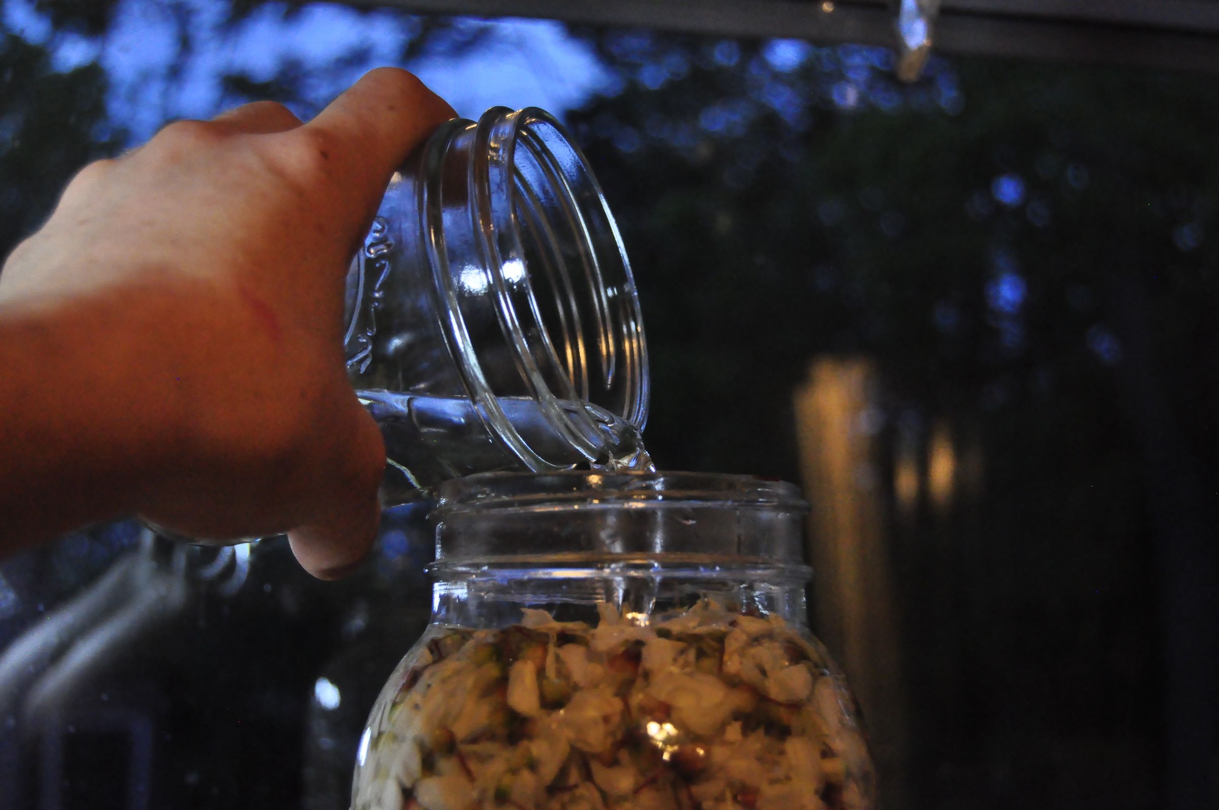 Black Locust Flower Cold Brew Tea : 4 Steps (with Pictures) - Instructables