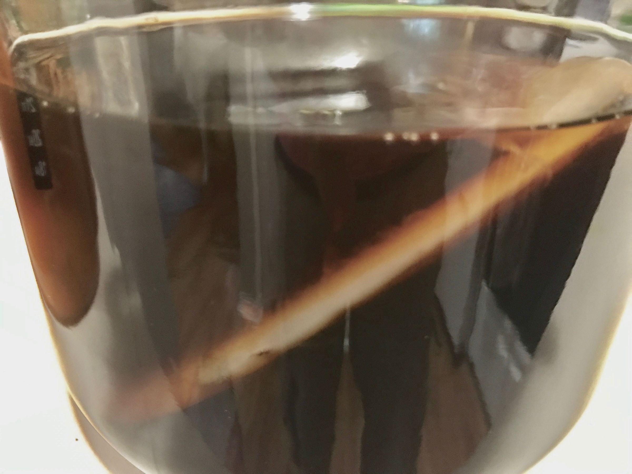 How to Grow a SCOBY : 4 Steps (with Pictures) - Instructables