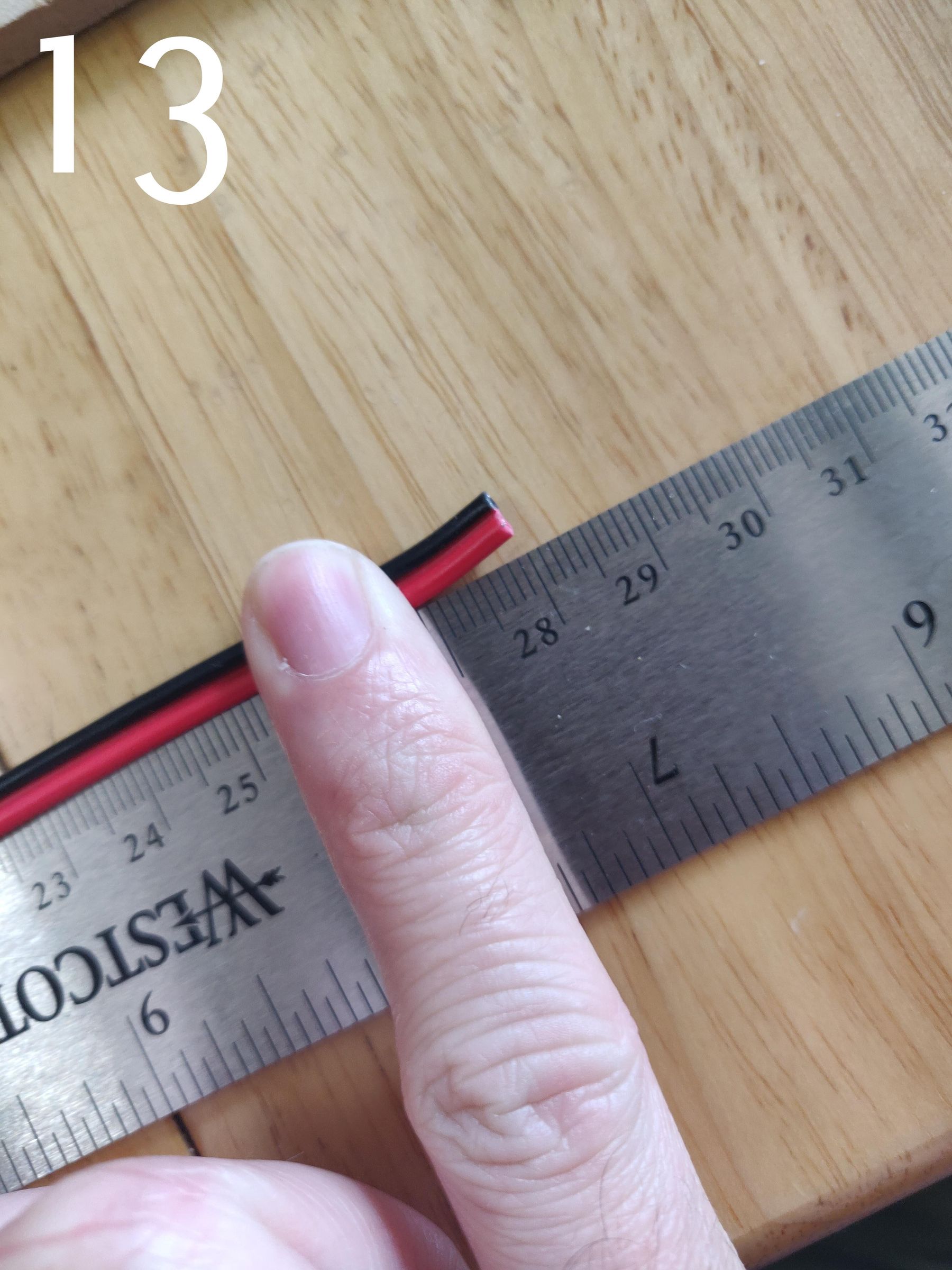 UV Light Trap for Insect Collecting : 8 Steps (with Pictures ...