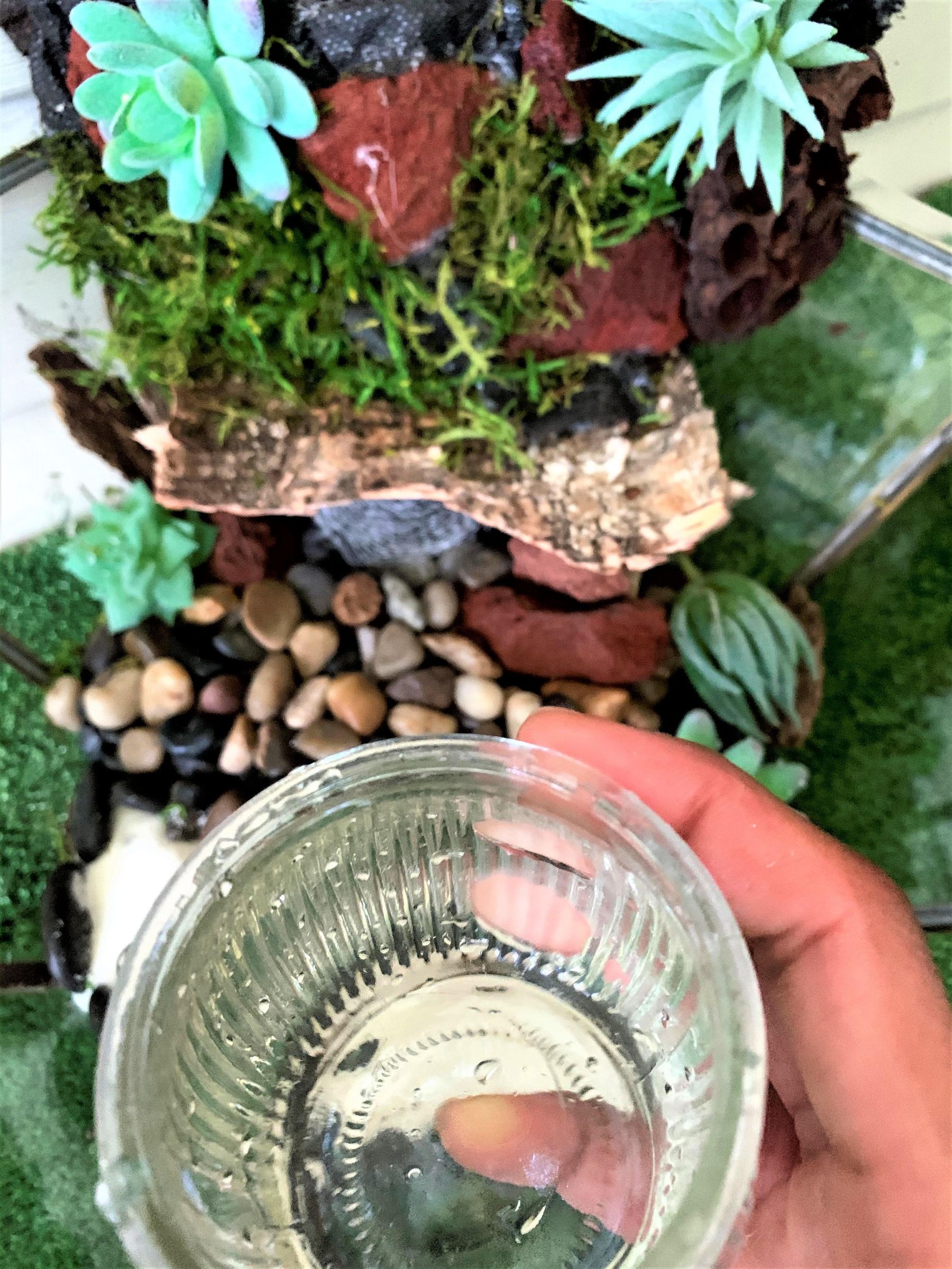 Repurposed Glass Chandelier Into Live Moss Drip Wall and Faux Terrarium ...