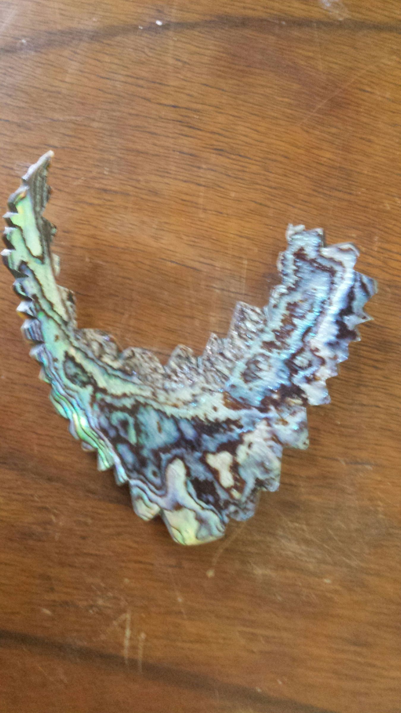 Upcycling & Carving Abalone Shell Into Jewelry and Gris Gris ...