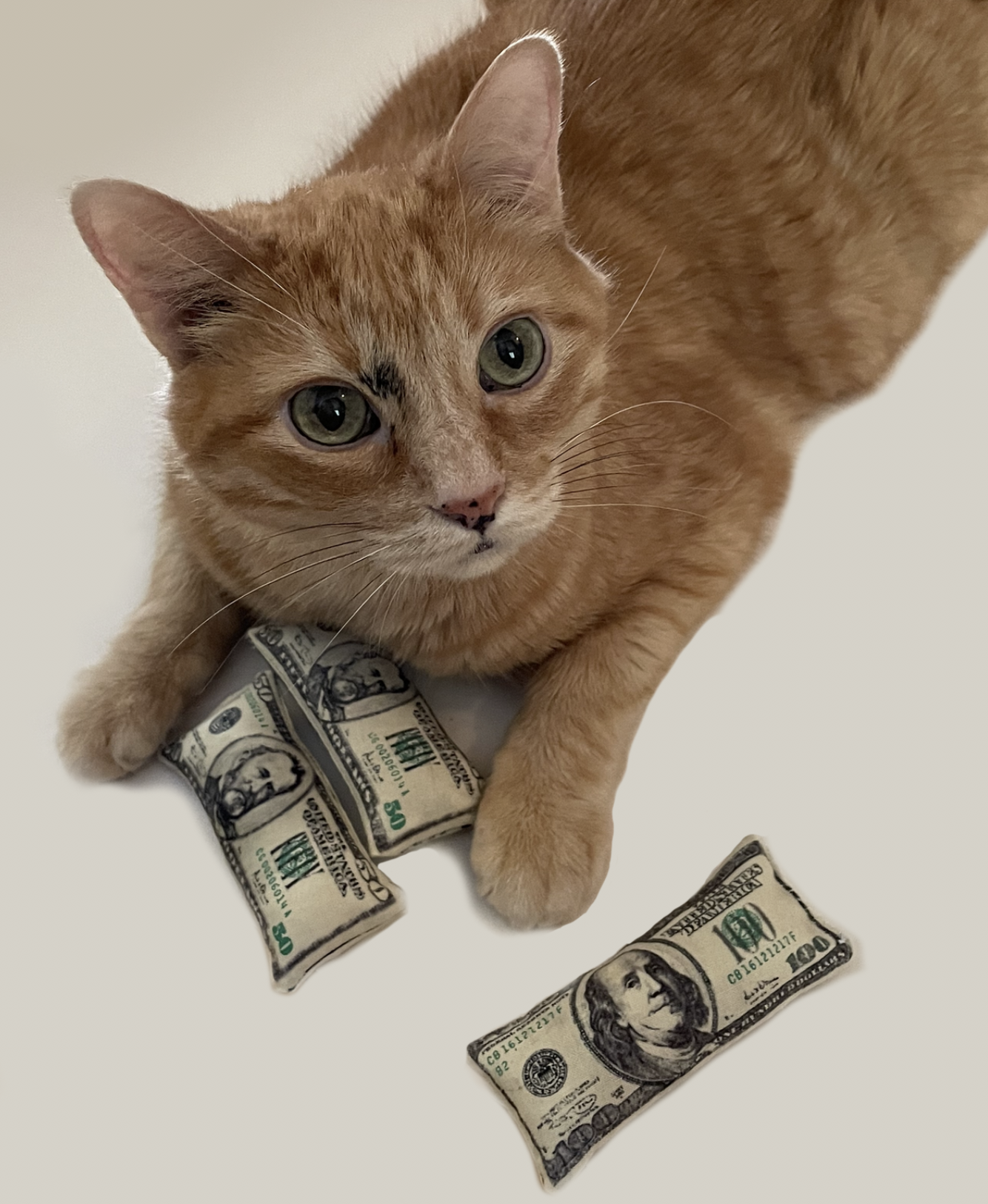 The World's Most Expensive Cat Toys : 6 Steps (with Pictures ...