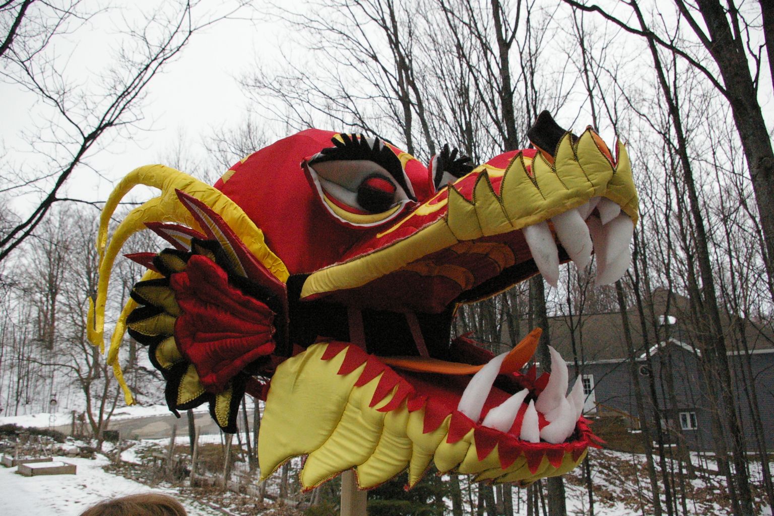 Make a Chinese Dragon Head : 4 Steps (with Pictures) - Instructables