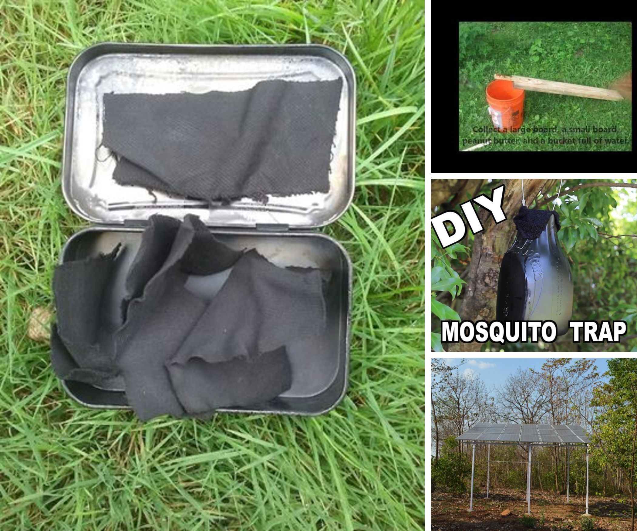 Survival - Instructables