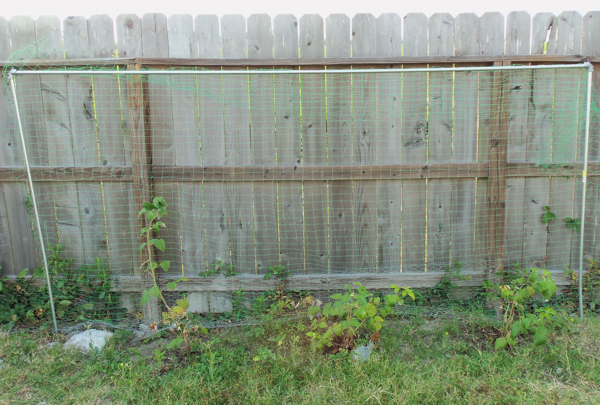 Apocalypse Garden/Backyard Beautification - Instructables