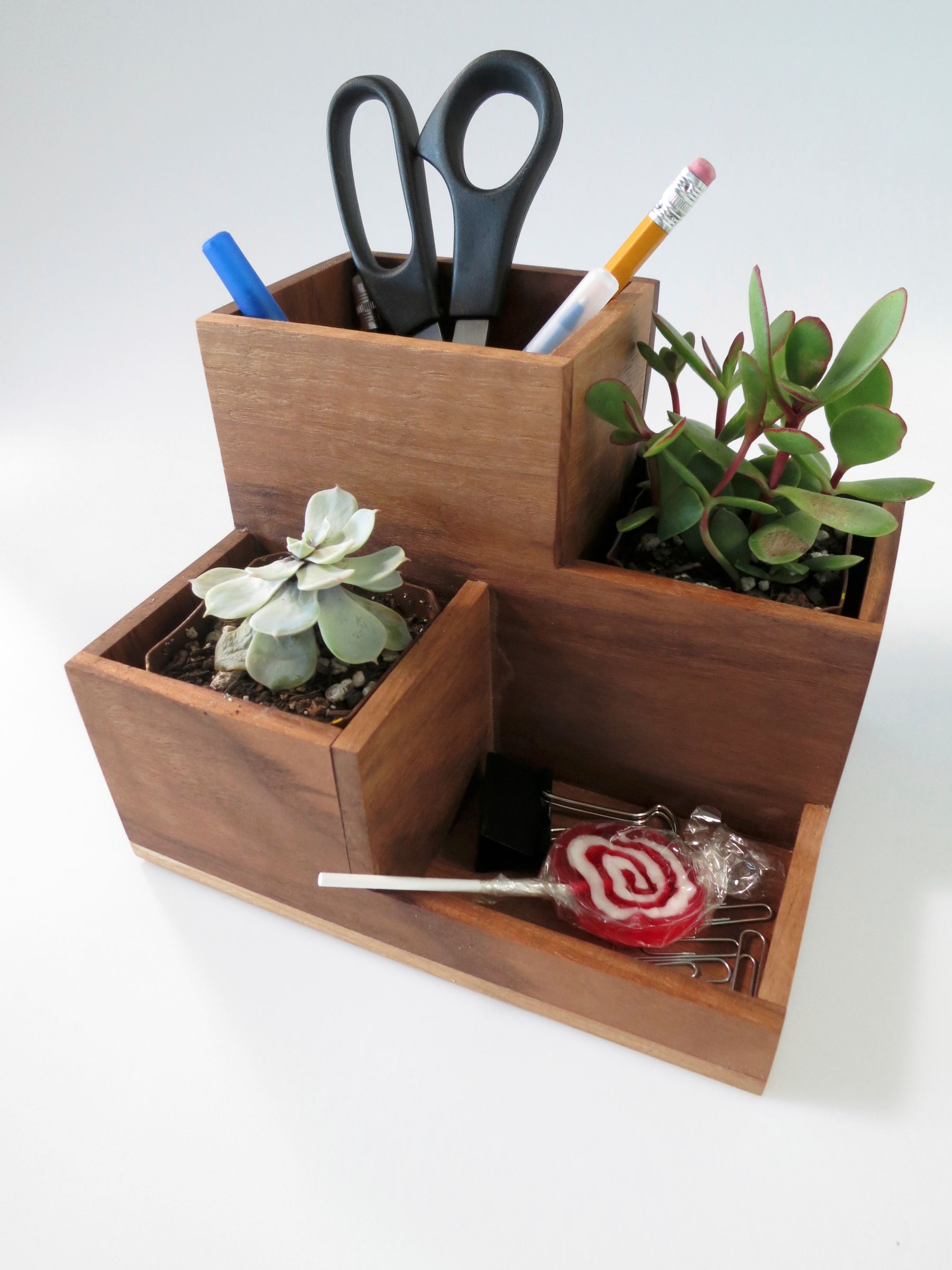 Desktop Organizer and Succulent Planter : 12 Steps (with Pictures ...