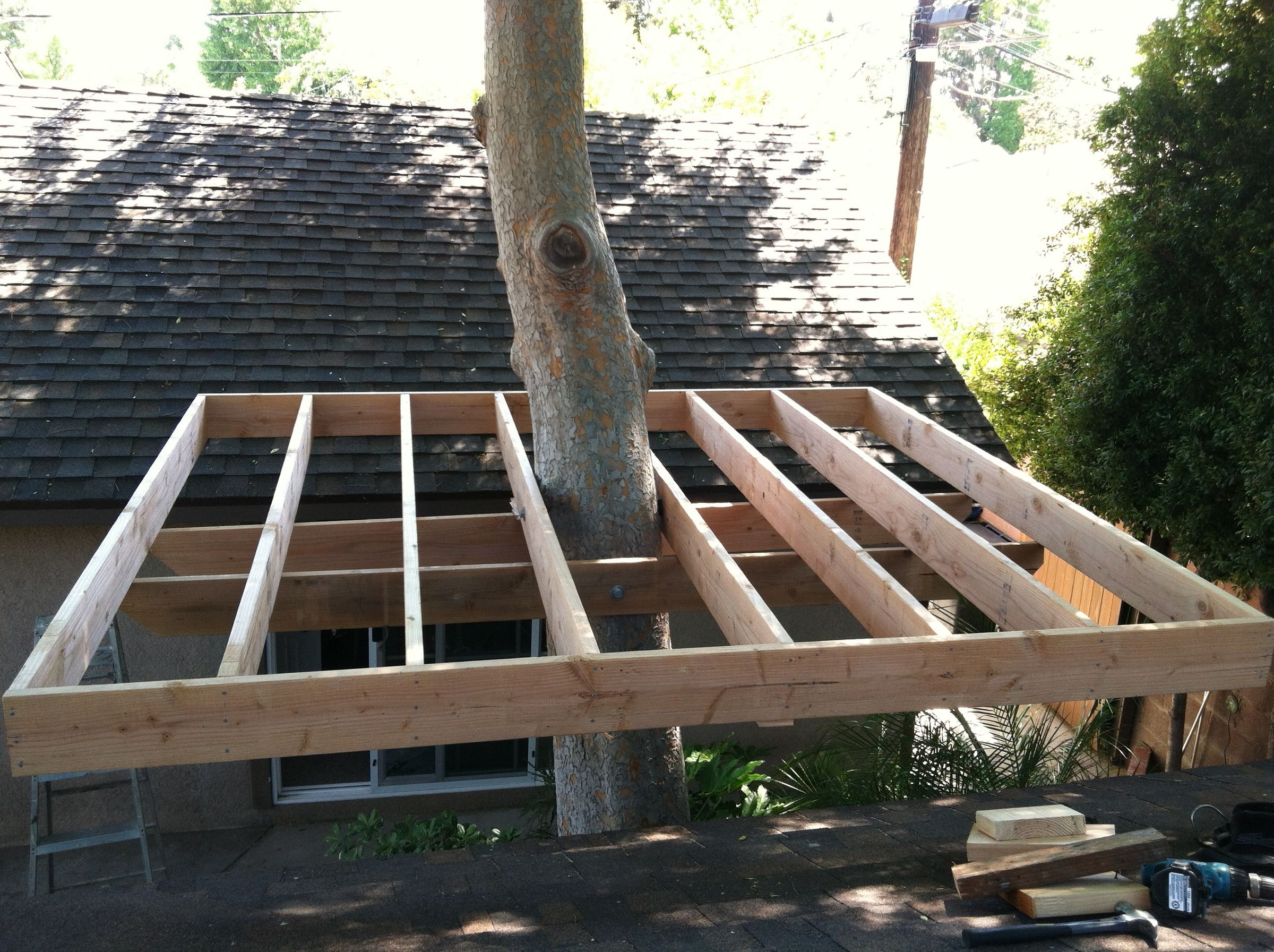 Tree House On Timbers