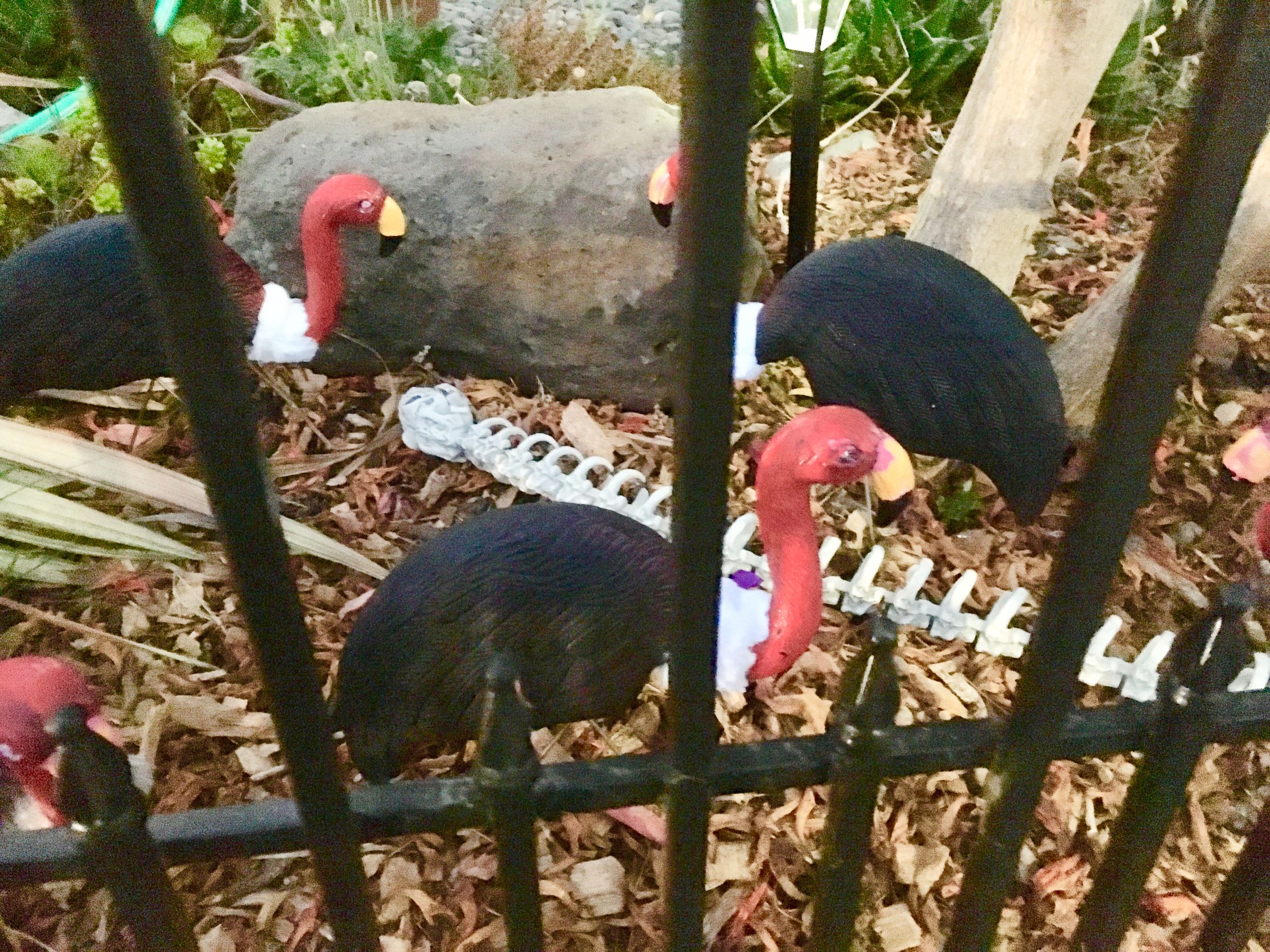 Vulture Lawn Flamingos : 5 Steps - Instructables