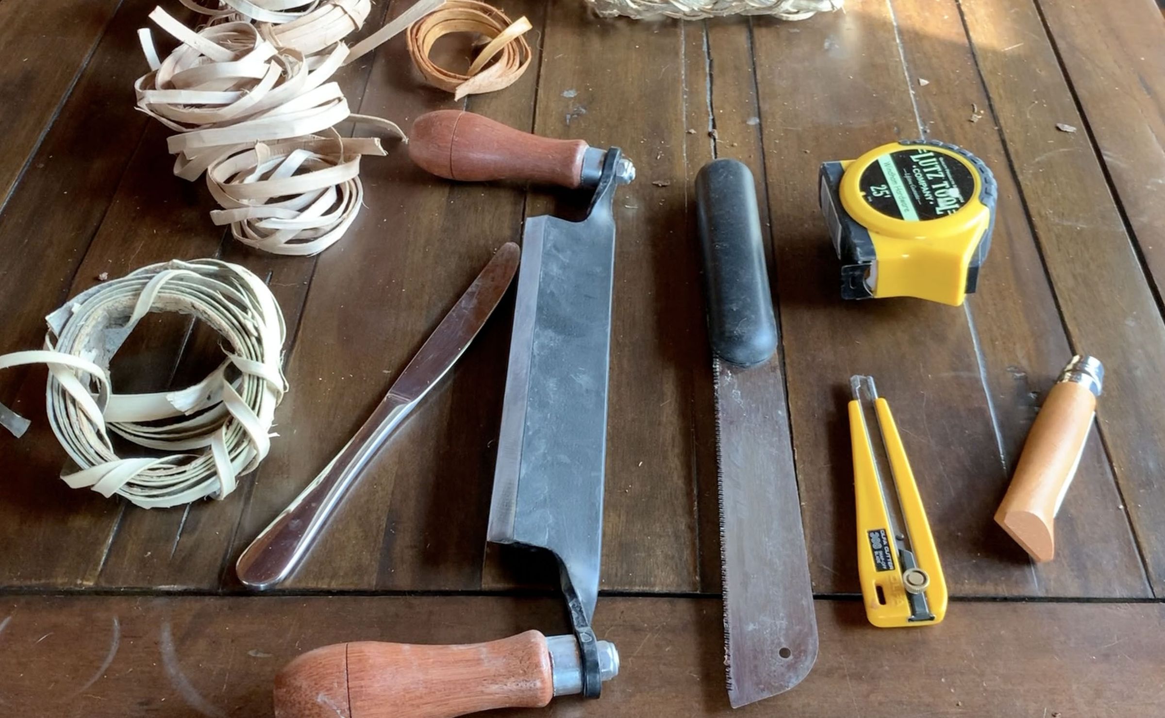 Harvesting Bark From Downed Trees for Baskets : 7 Steps (with Pictures ...