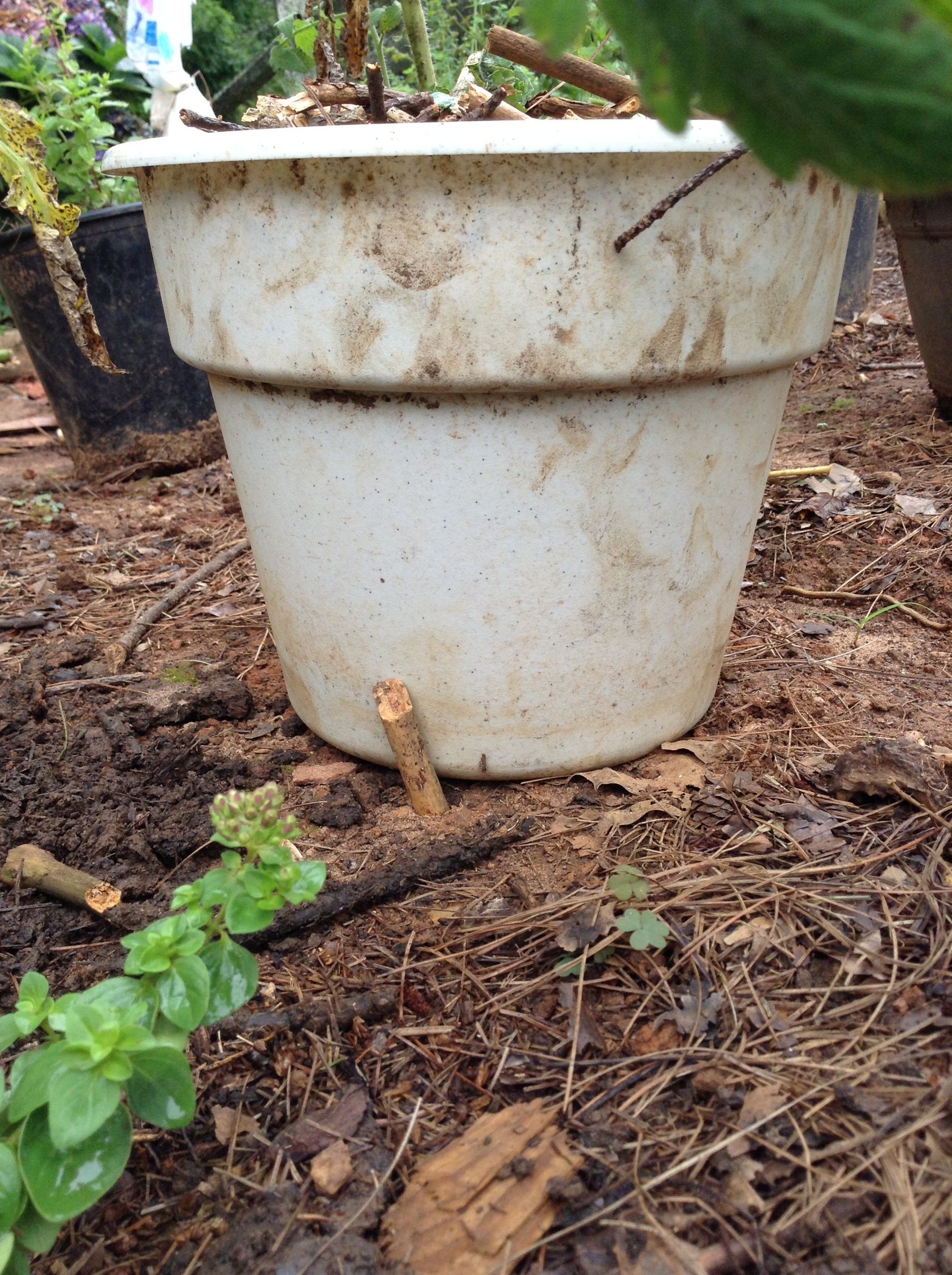 Lizard Lair : 6 Steps - Instructables