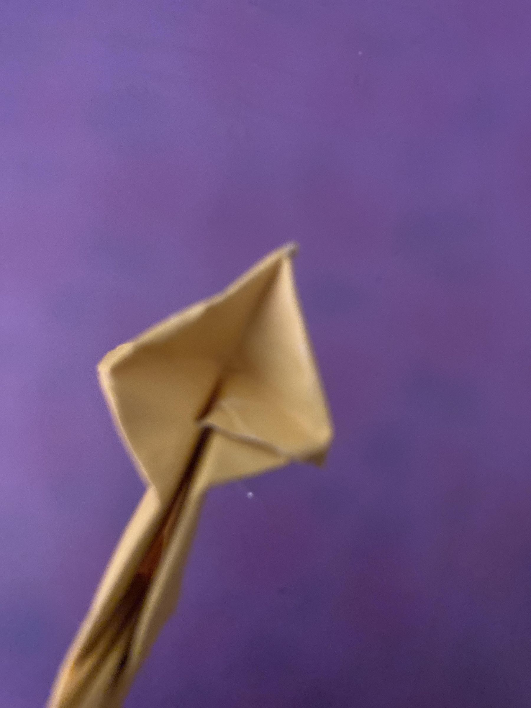 Origami Rat : 27 Steps - Instructables