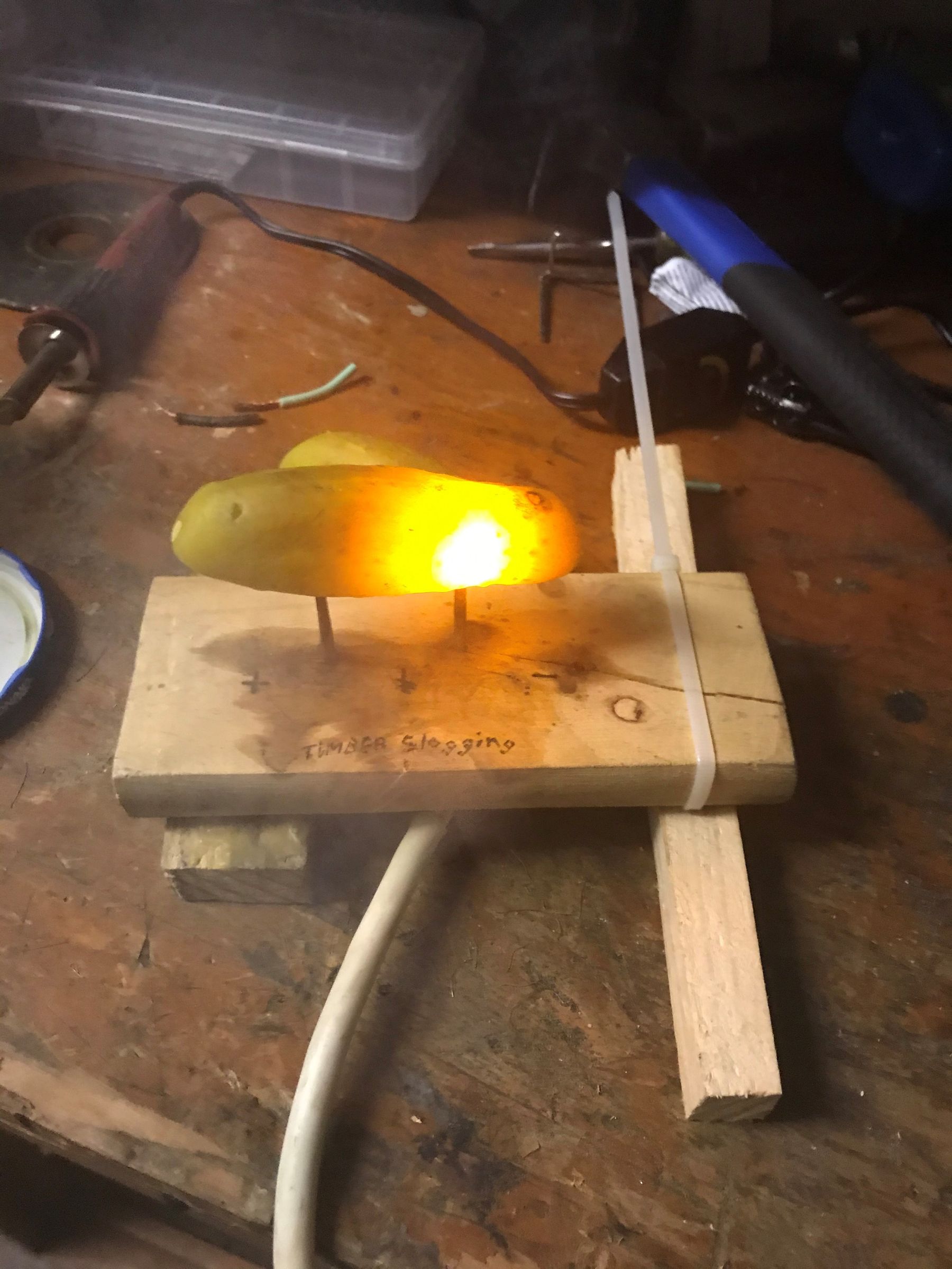 Glowing Pickle : 5 Steps - Instructables