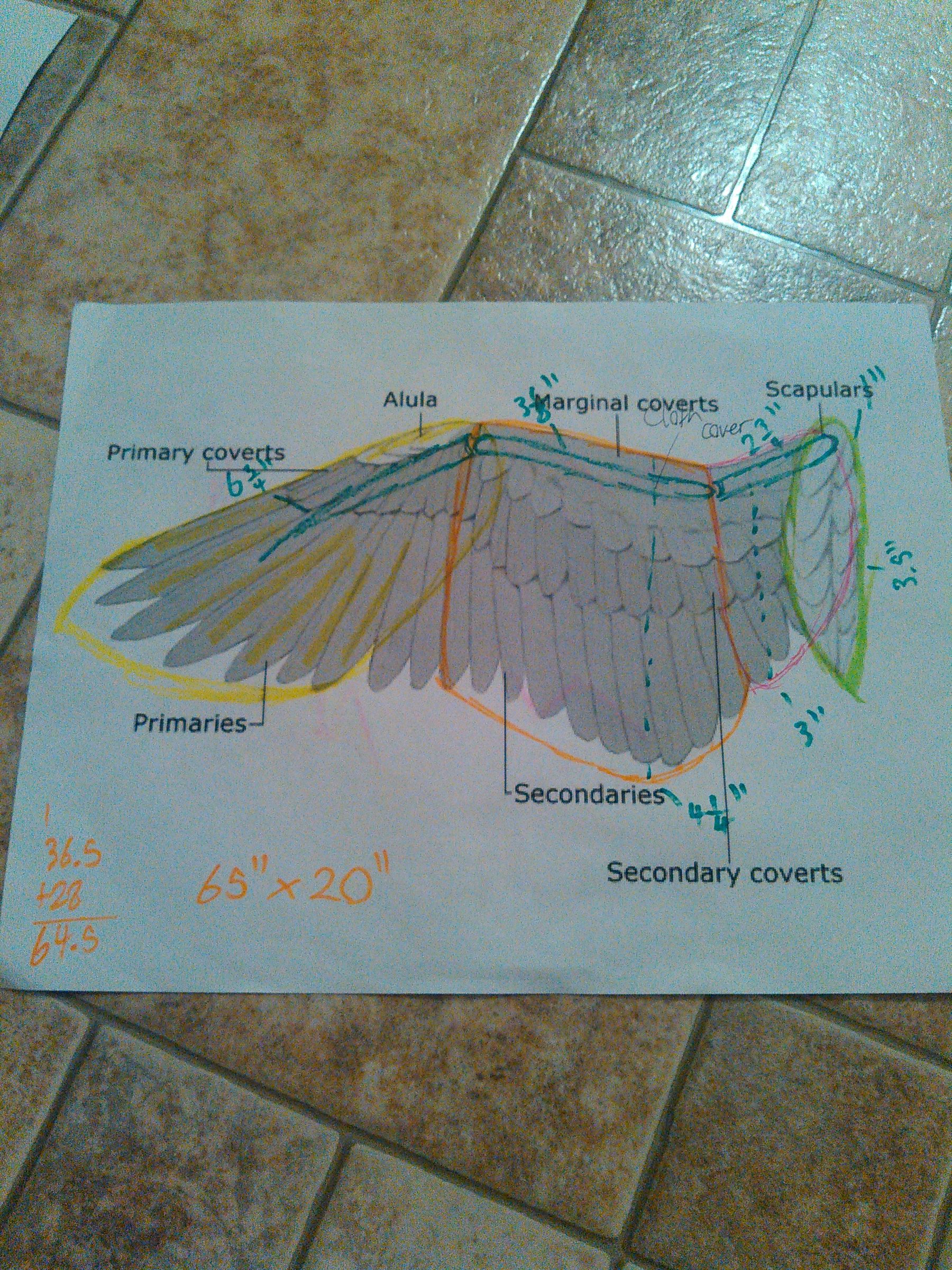 Designing an Articulated Wing Harness : 8 Steps - Instructables