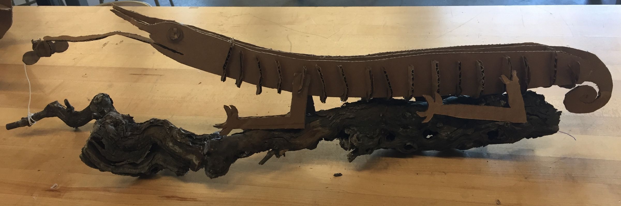 Cardboard Chameleon : 6 Steps - Instructables