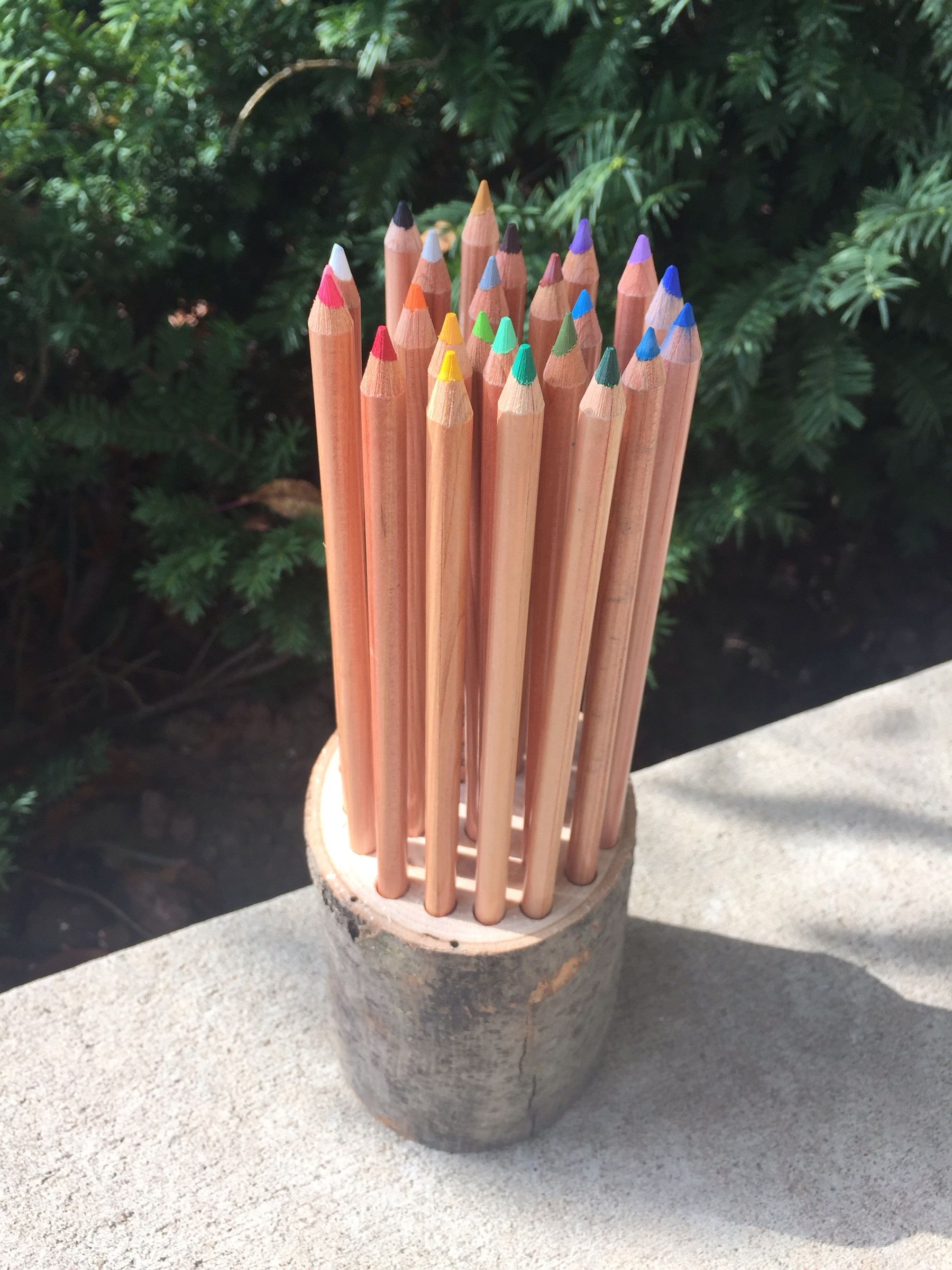 Rustic Log Pencil Holder : 3 Steps (with Pictures) - Instructables