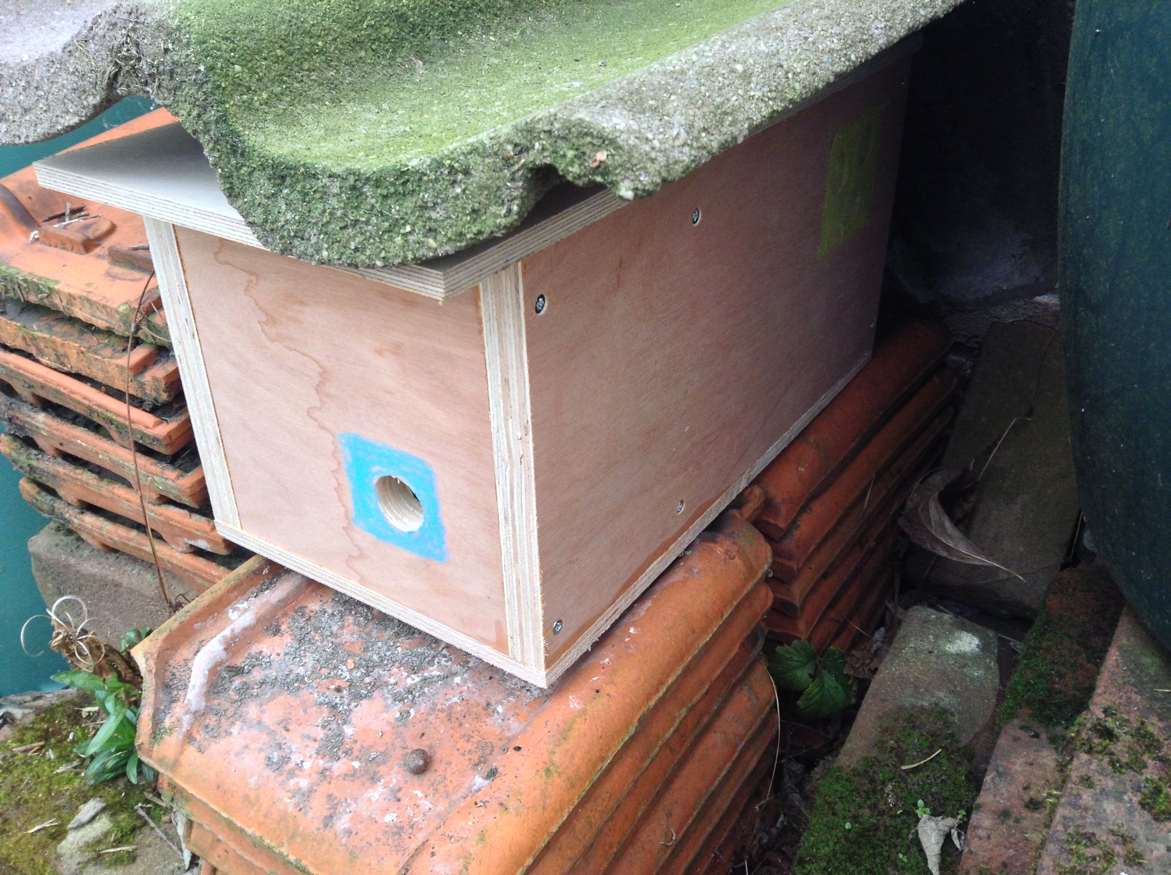Build a Nest Box for Bumblebees : 5 Steps (with Pictures) - Instructables
