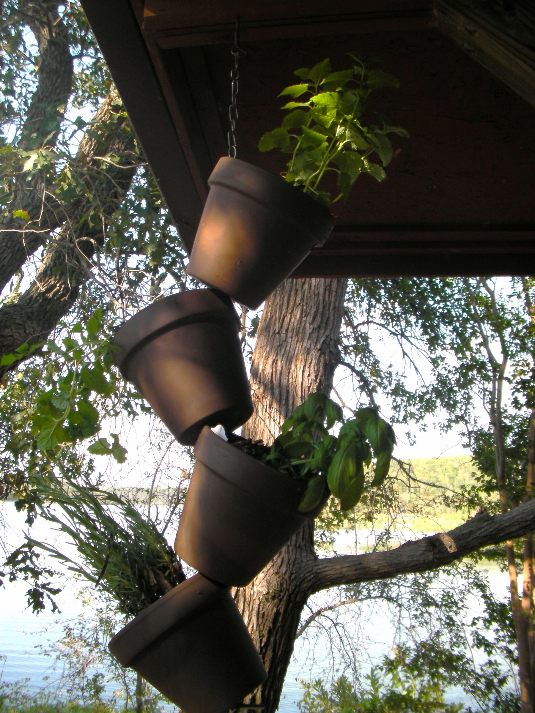Make a Hanging Garden : 4 Steps (with Pictures) - Instructables
