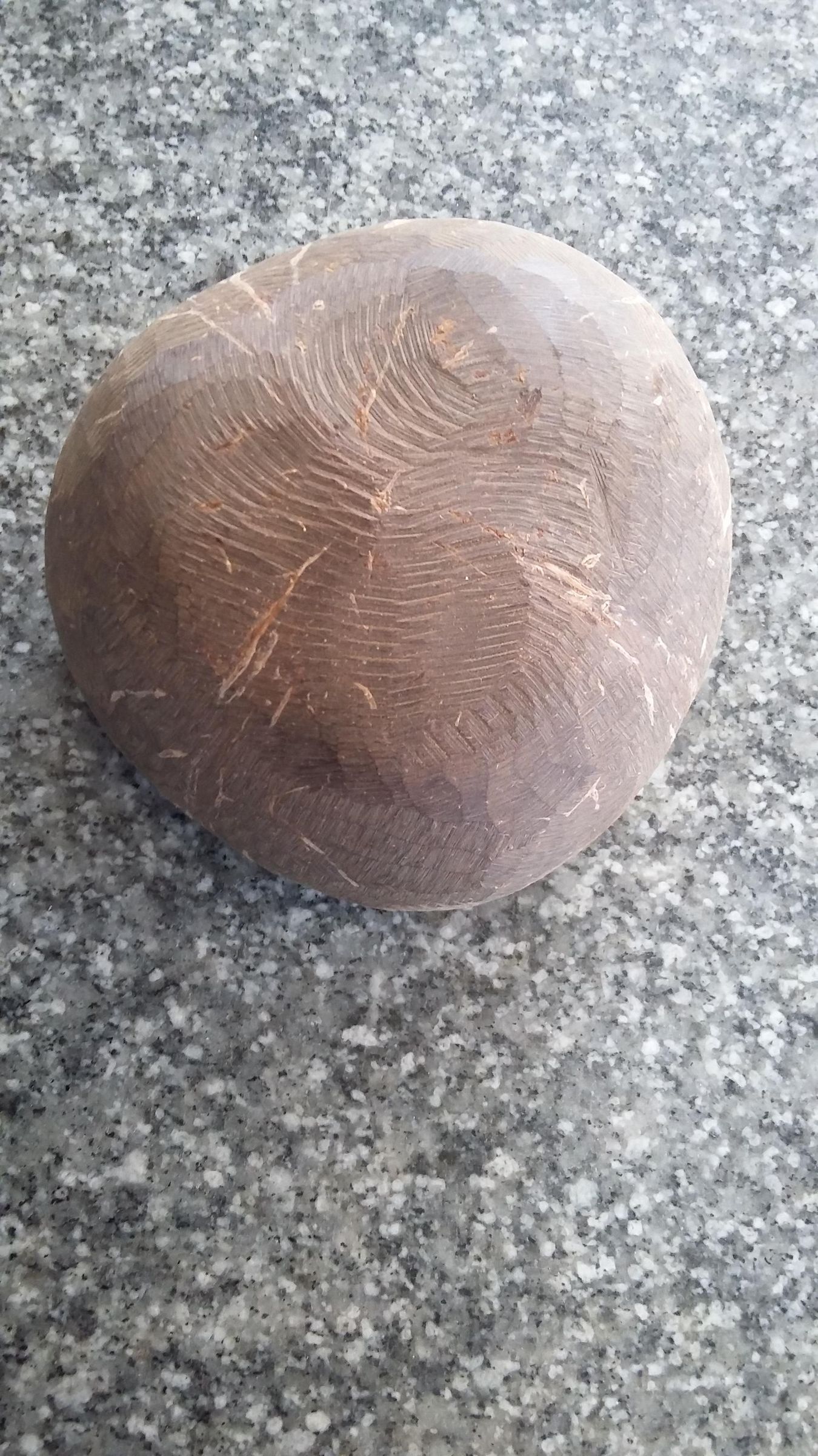 Coconut Shell Music Instrument : 12 Steps - Instructables