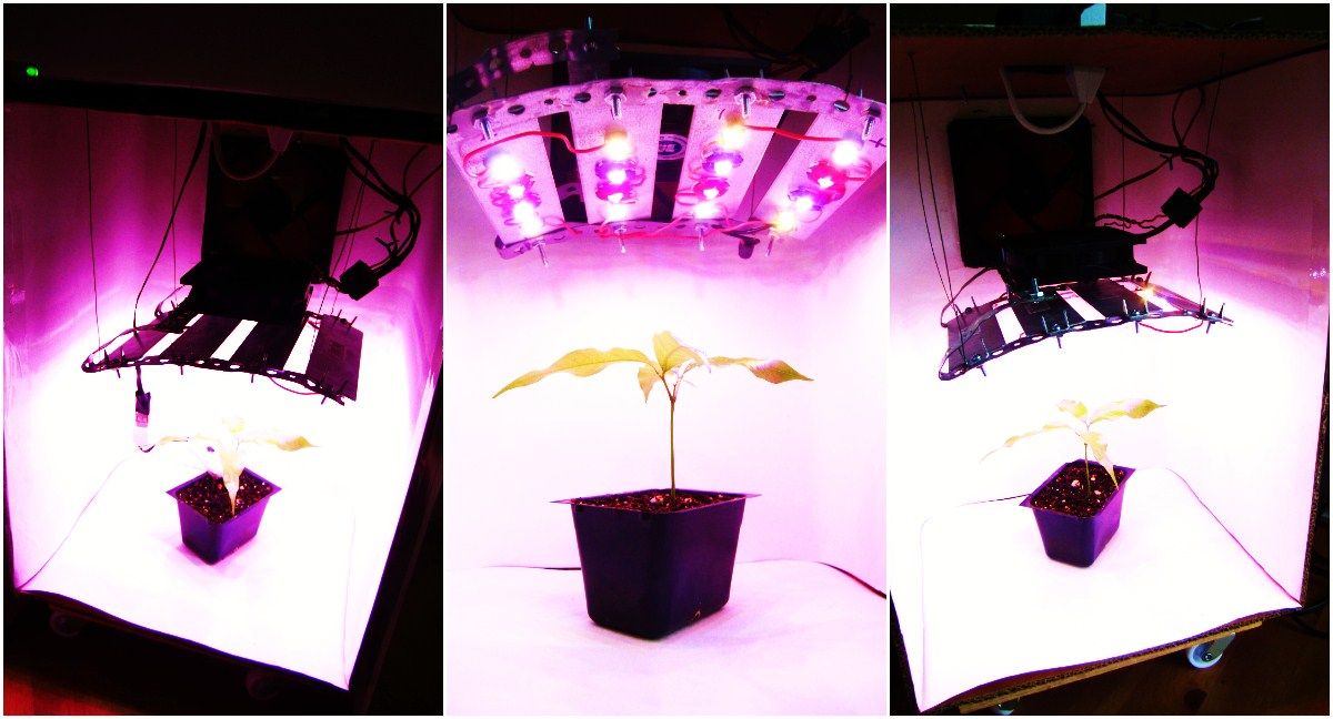 The Plant Box : 6 Steps - Instructables