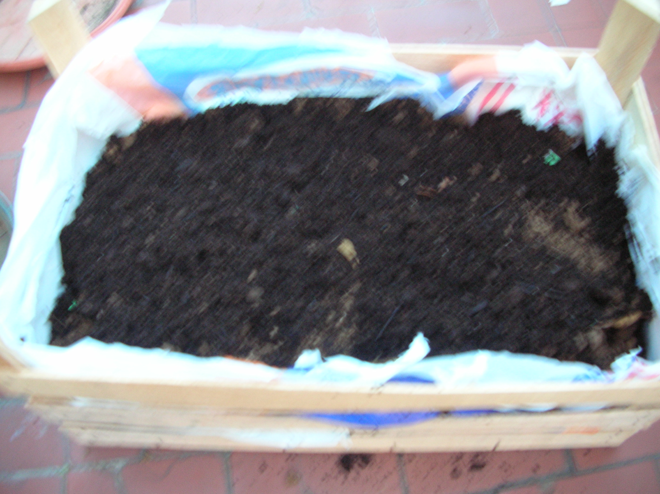 30 Minute Seedbed : 4 Steps - Instructables