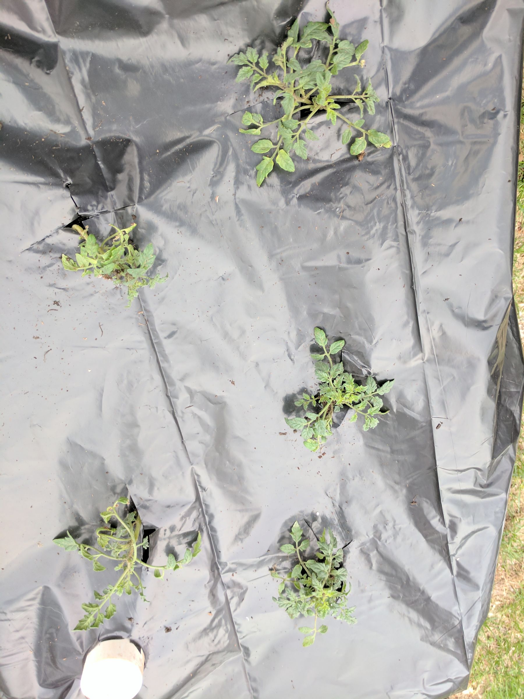 DIY Earth Box : 7 Steps (with Pictures) - Instructables