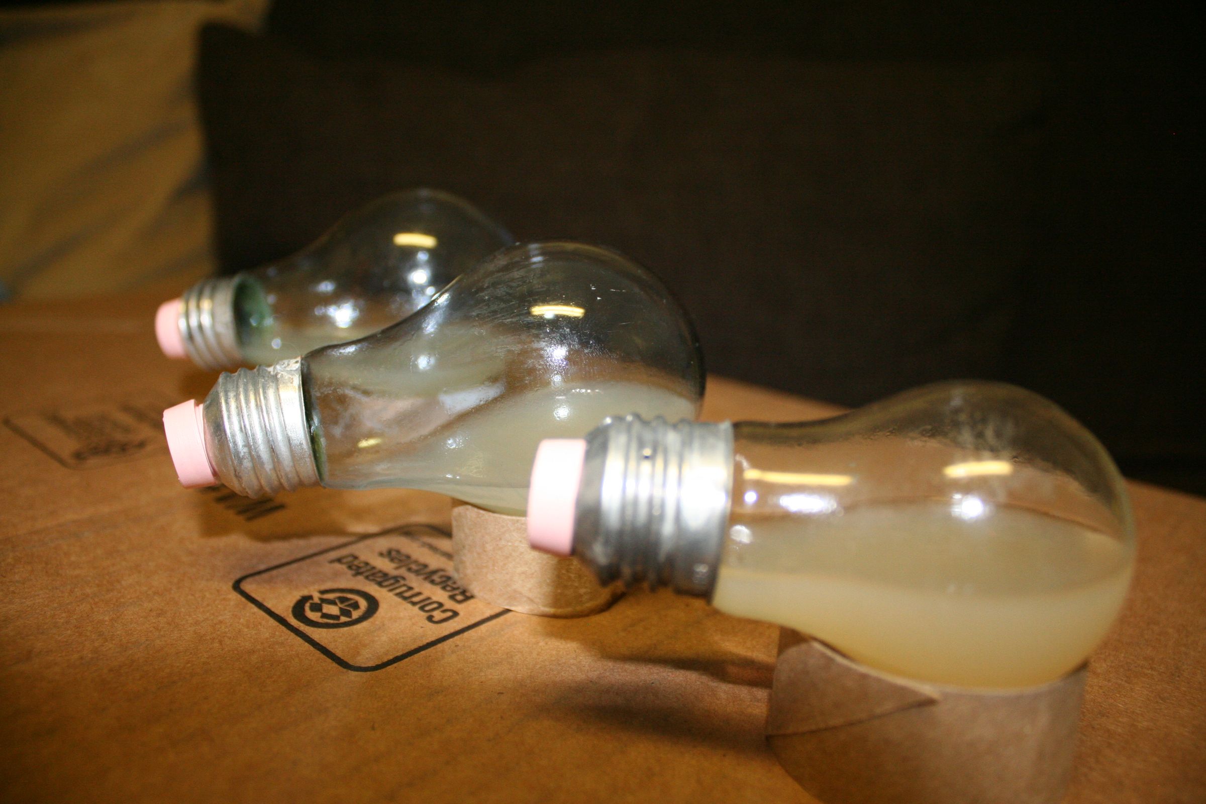 Bioluminescent Bacterial Lightbulb / Water Pollution Tester : 11 Steps ...