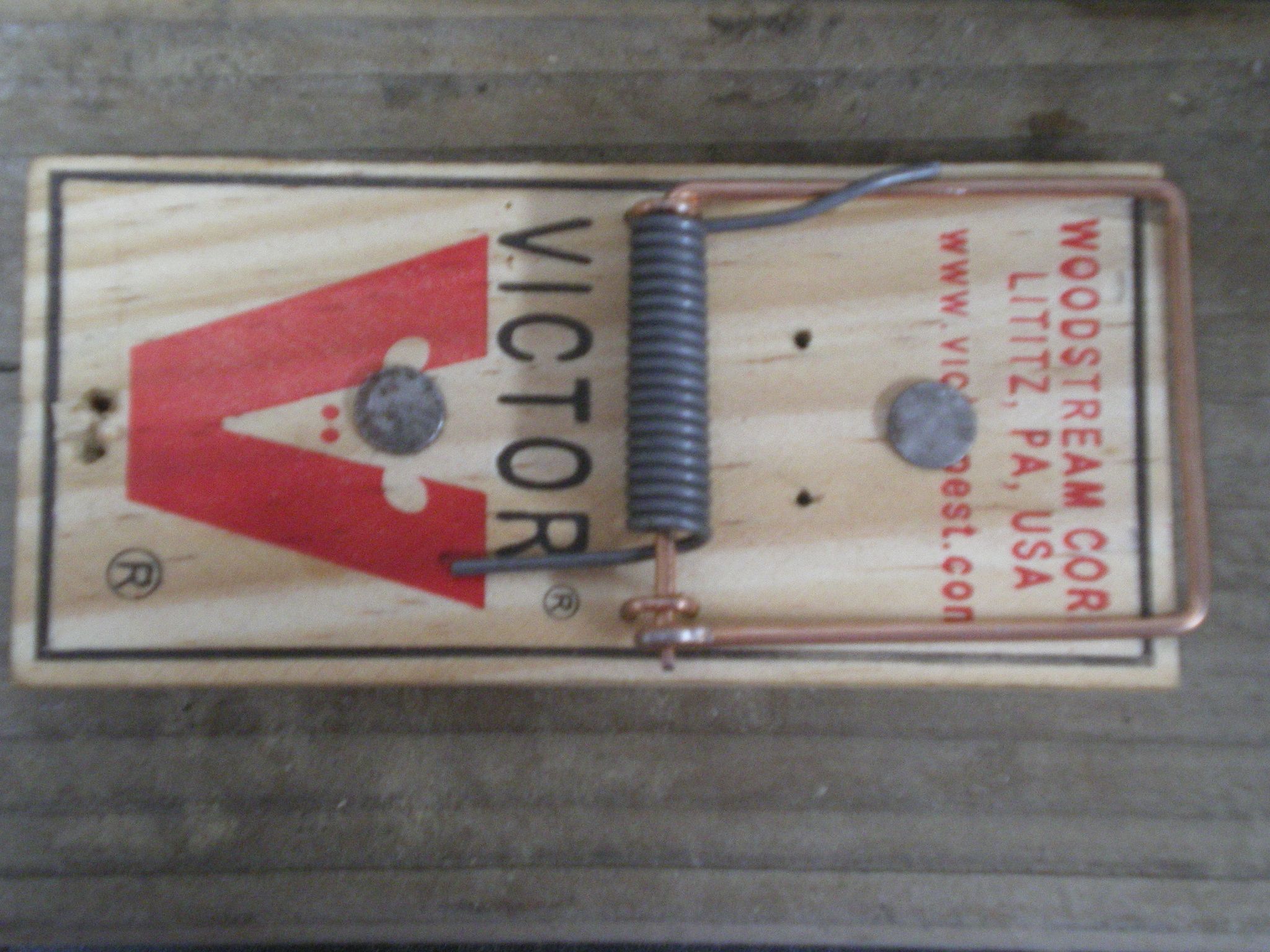 Airsoft Mousetrap Claymore : 9 Steps - Instructables