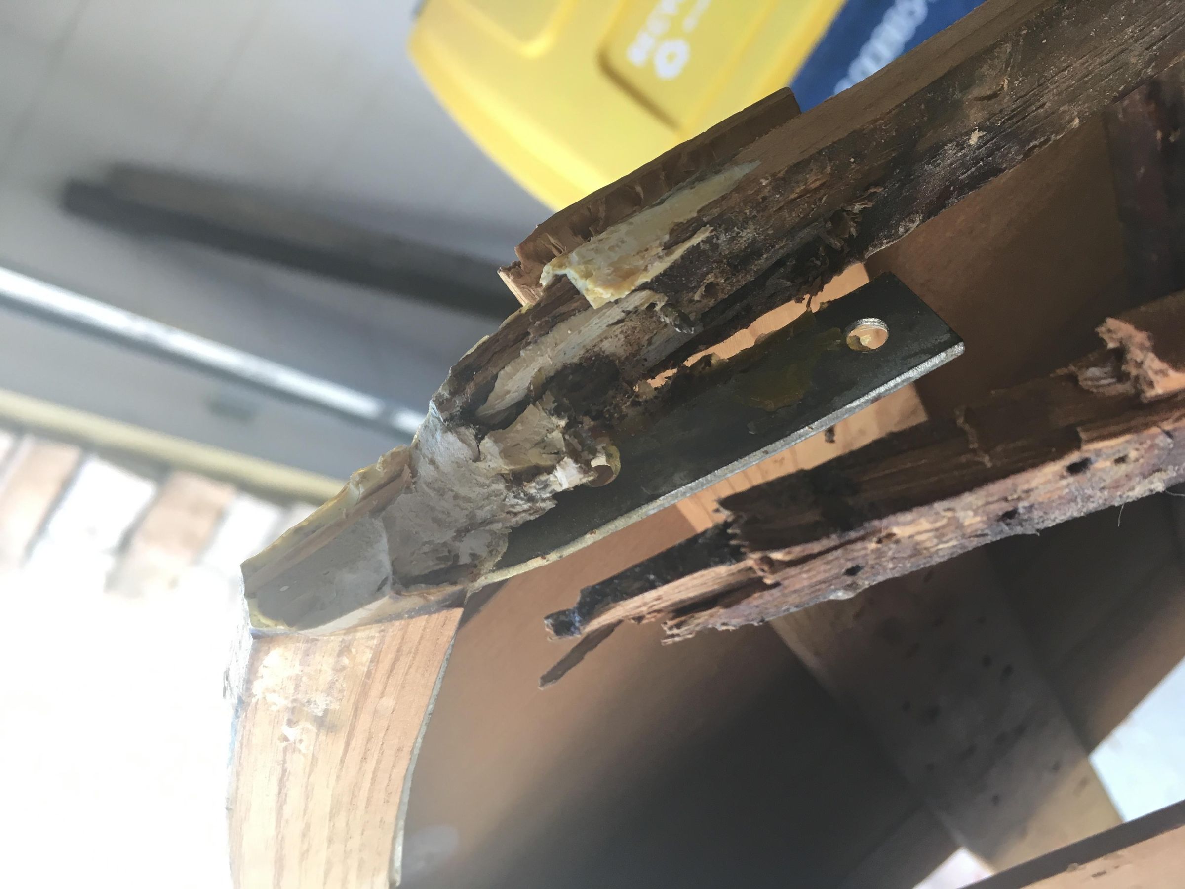 Restoring a Wood & Canvas Canoe : 21 Steps (with Pictures) - Instructables