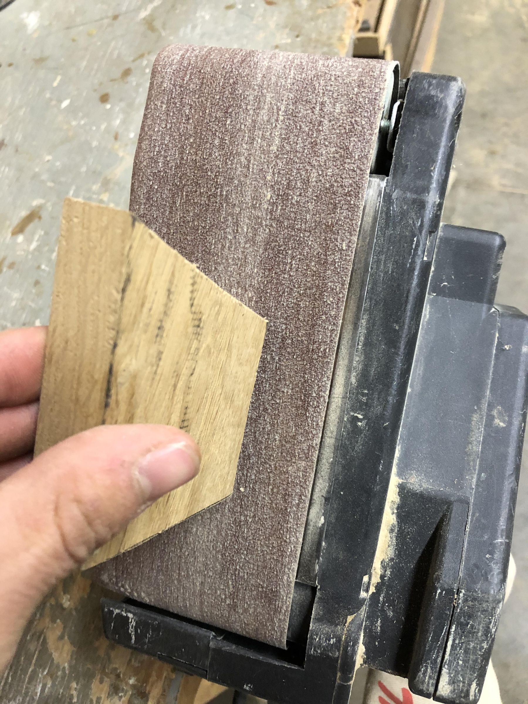 How to Build a European Mount Plaque : 6 Steps - Instructables