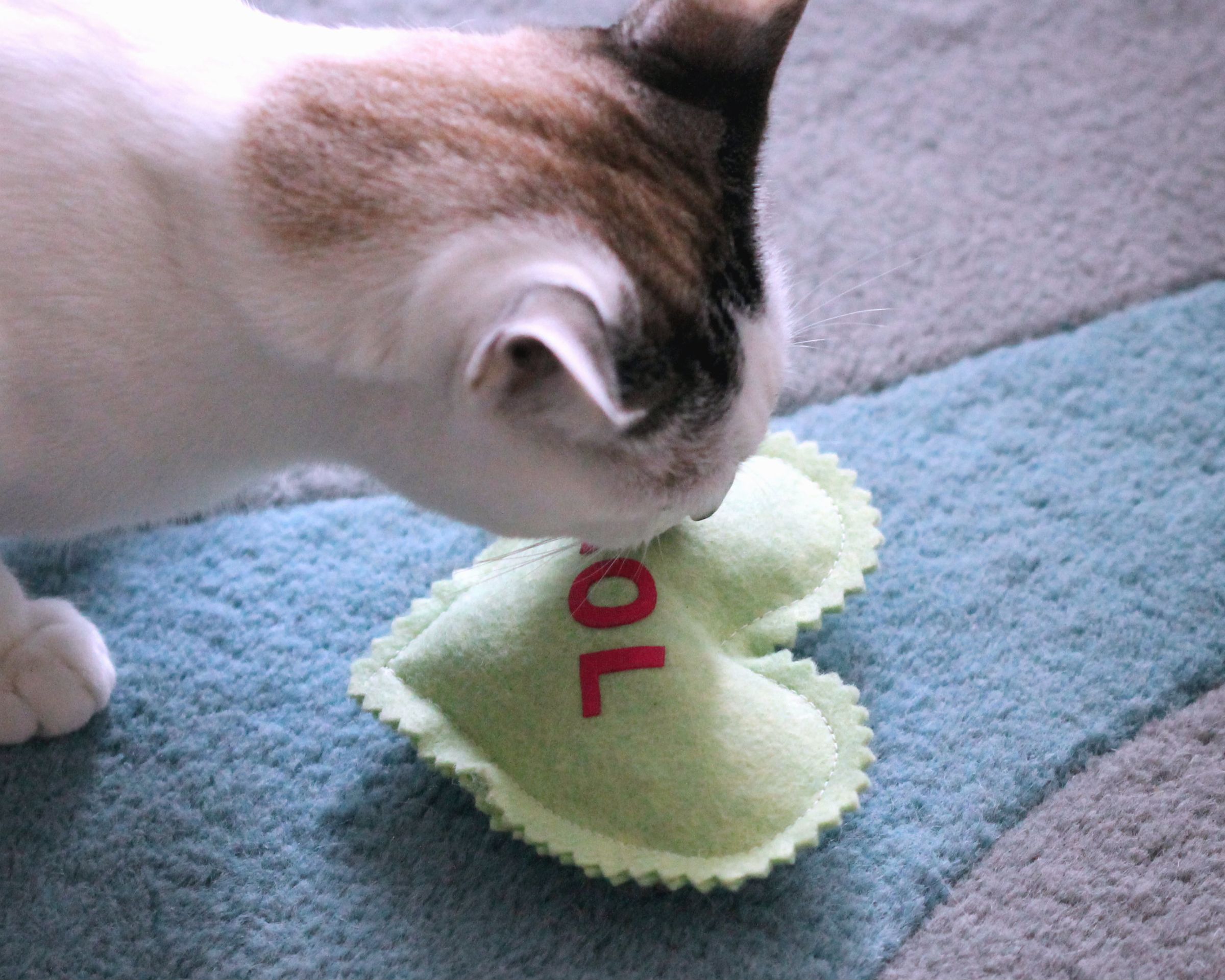 Catnip Conversation Hearts : 8 Steps (with Pictures) - Instructables
