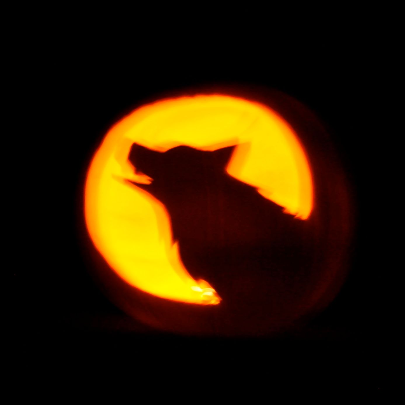 Werewolf Pumpkin Carving