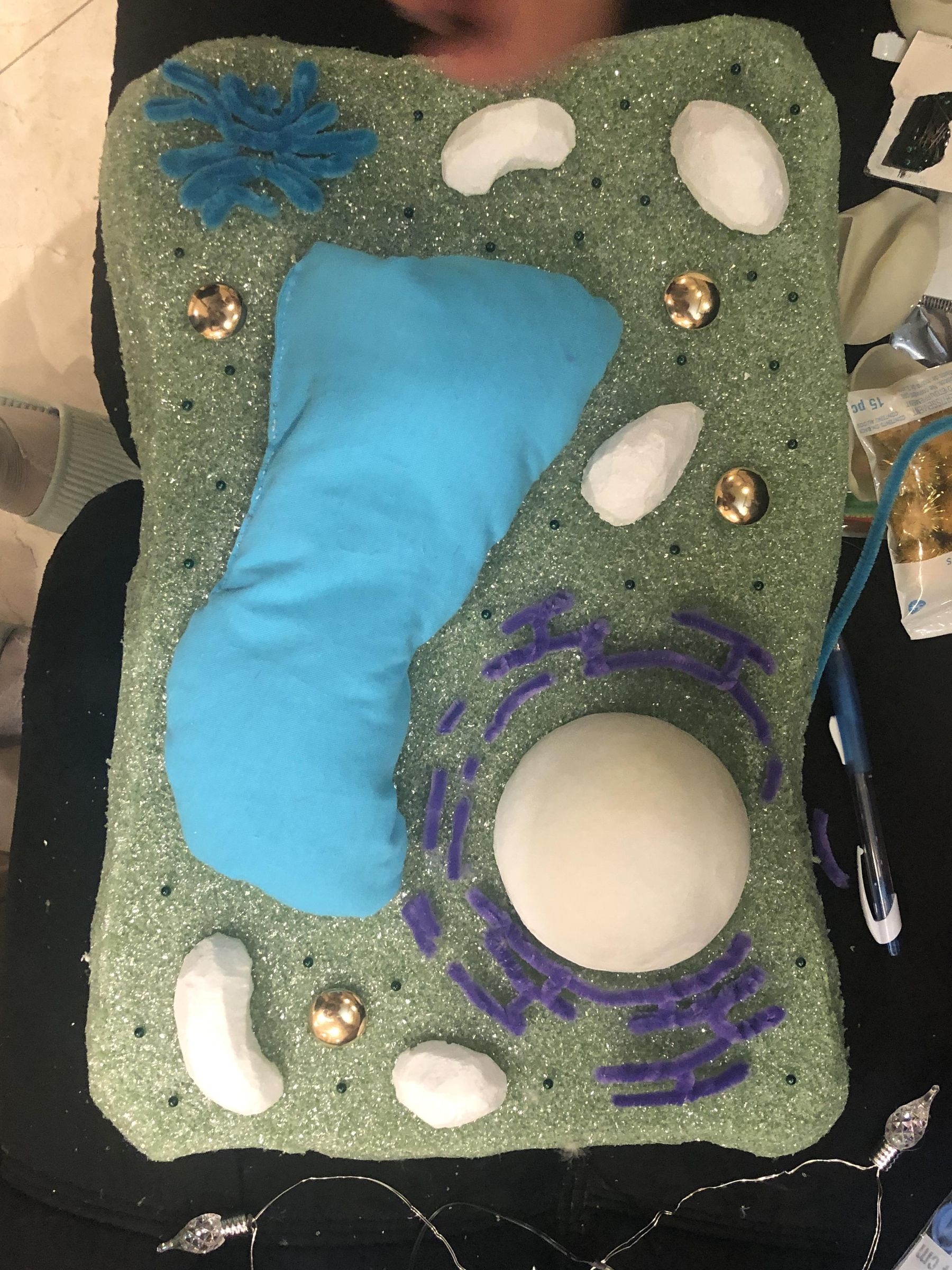 Cell Model Educational Model From Recycled Materials : 5 Steps (with ...