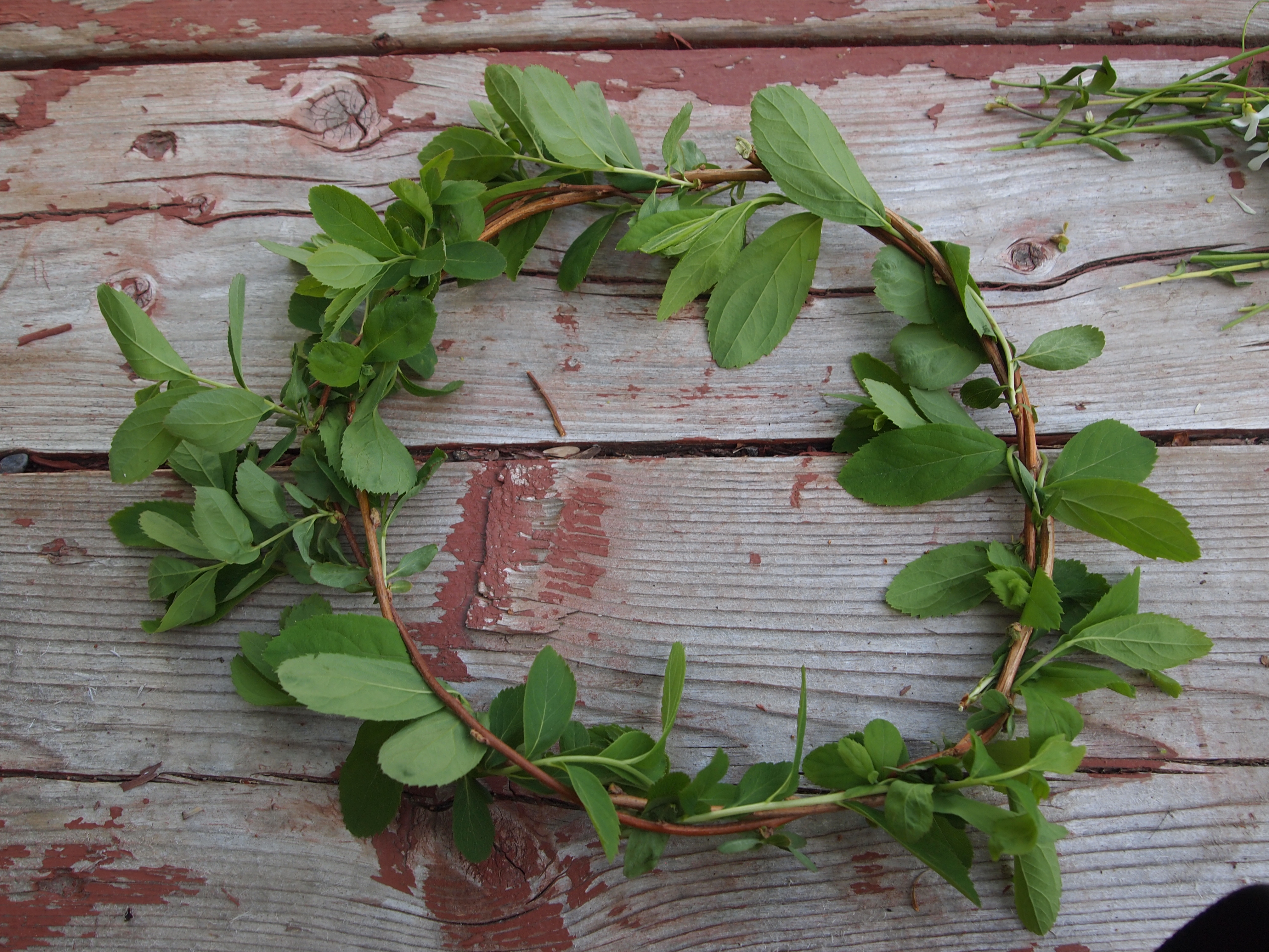 DIY Real Flower Crowns : 5 Steps (with Pictures) - Instructables